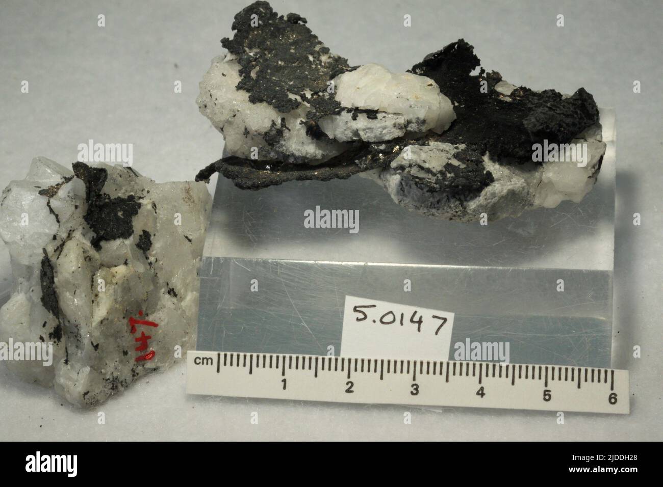 Silver. minerals. North America; USA; Arizona; Pinal County; Silver ...