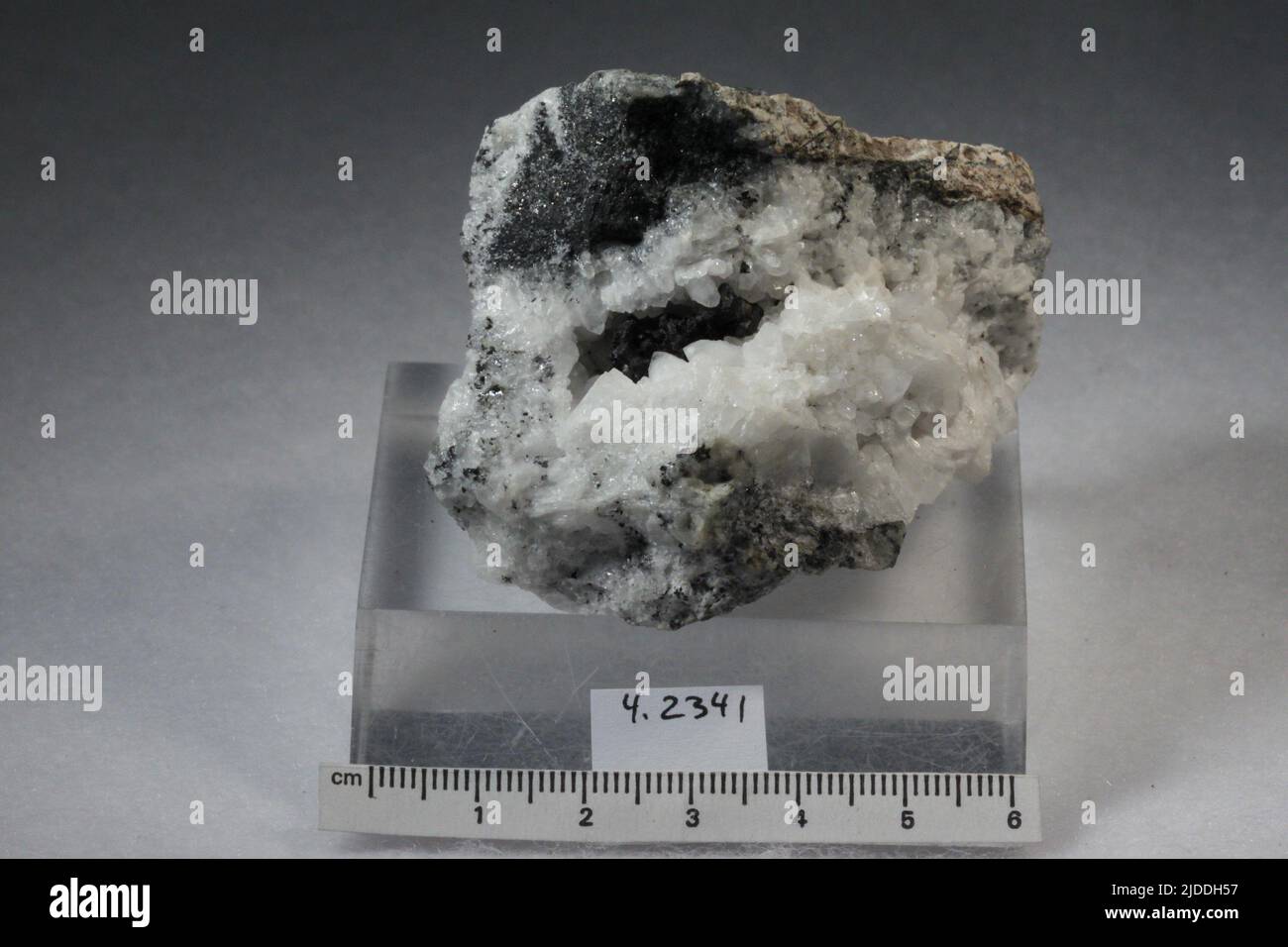 Acanthite; [Argentite]. minerals. North America; USA; Nevada; Lander ...
