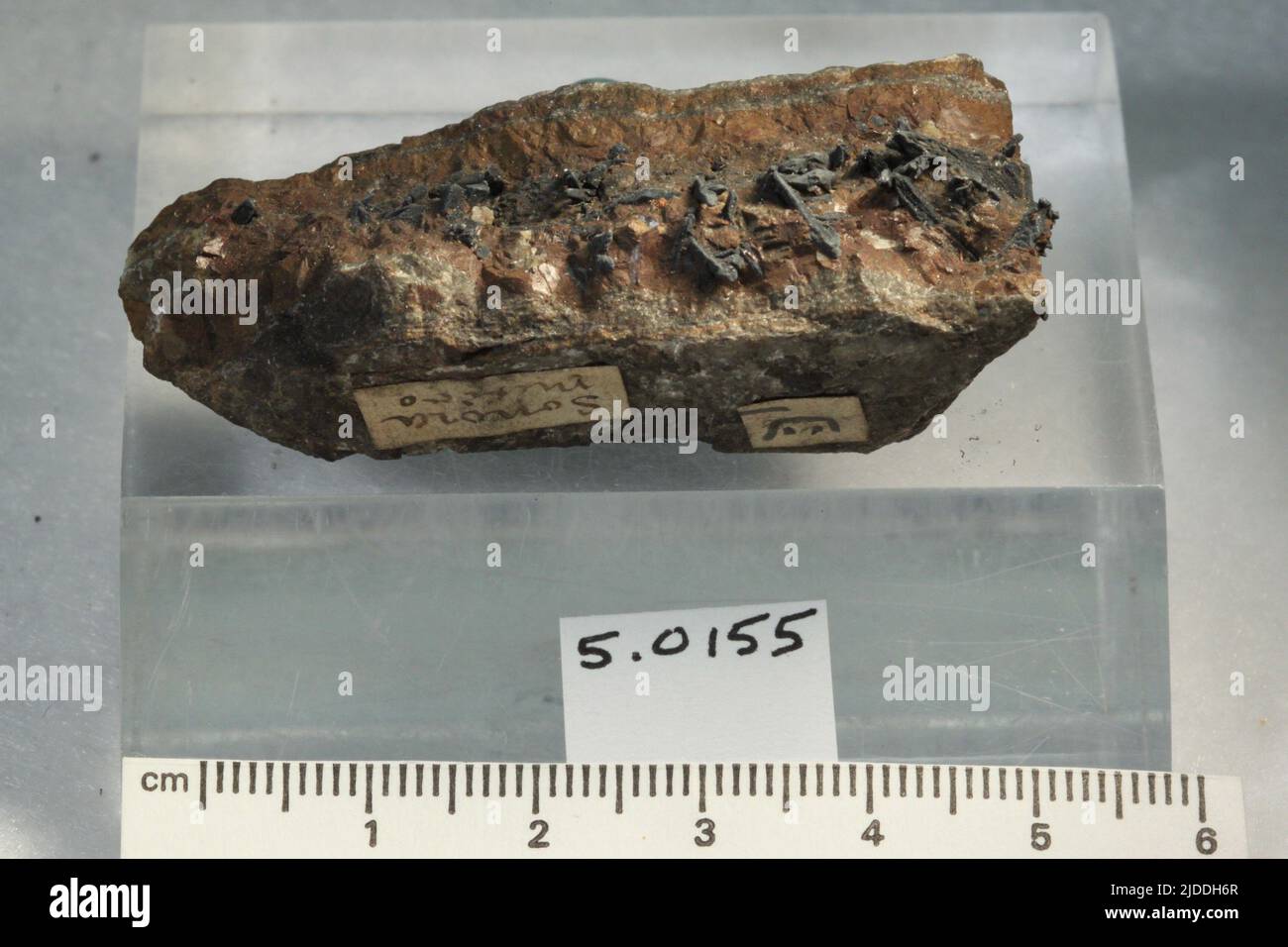 Silver. minerals. North America; Mexico; Sonora Stock Photo - Alamy