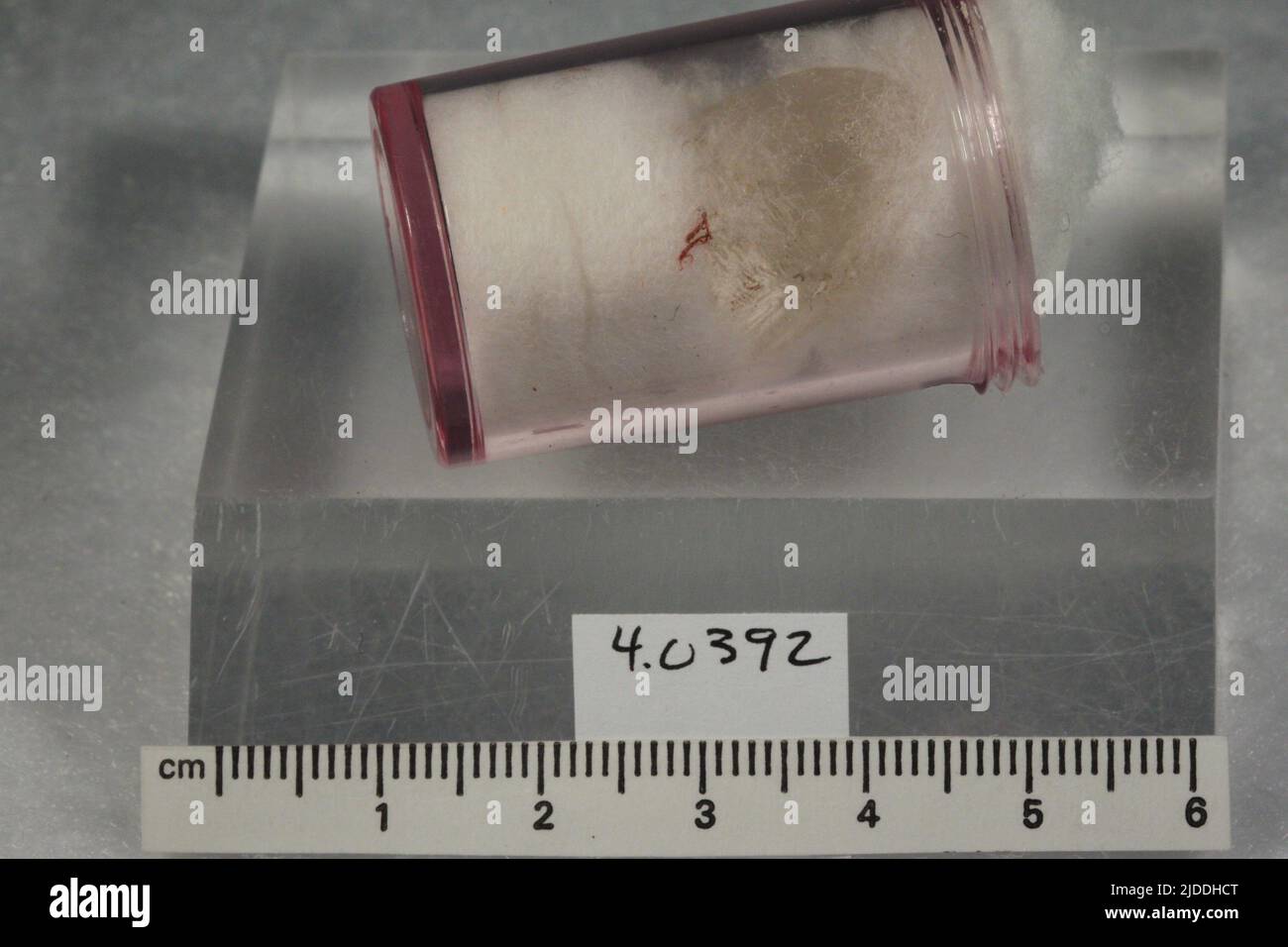 Carnallite hi-res stock photography and images - Alamy