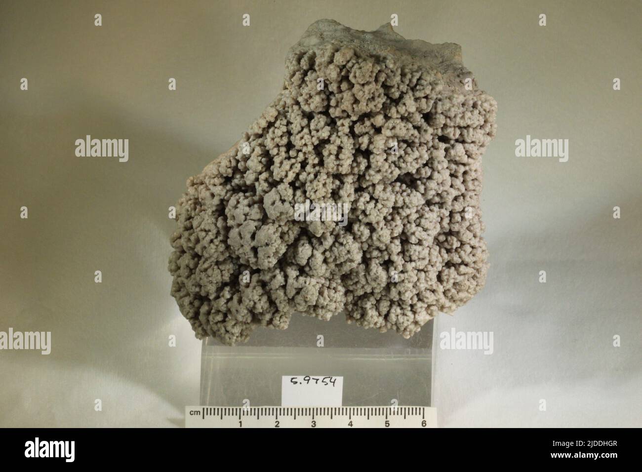Opal sample hi-res stock photography and images - Alamy