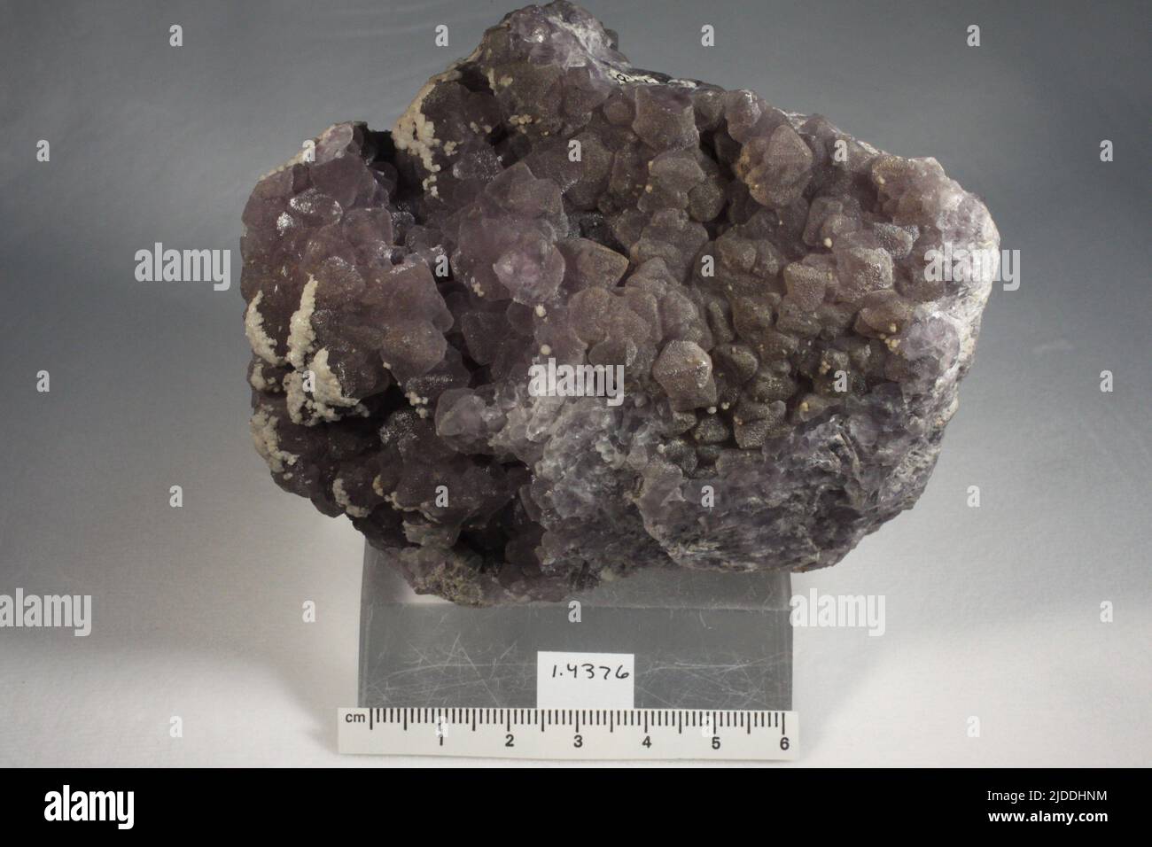 Fluorite. minerals. North America; Mexico; Guanajuato State; Guanajuato ...