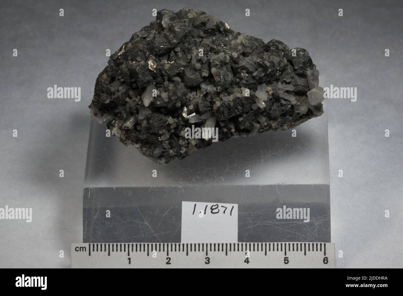 Tetrahedrite. minerals. Europe; Romania; Maramure?; Maramure?; Cavnic ...