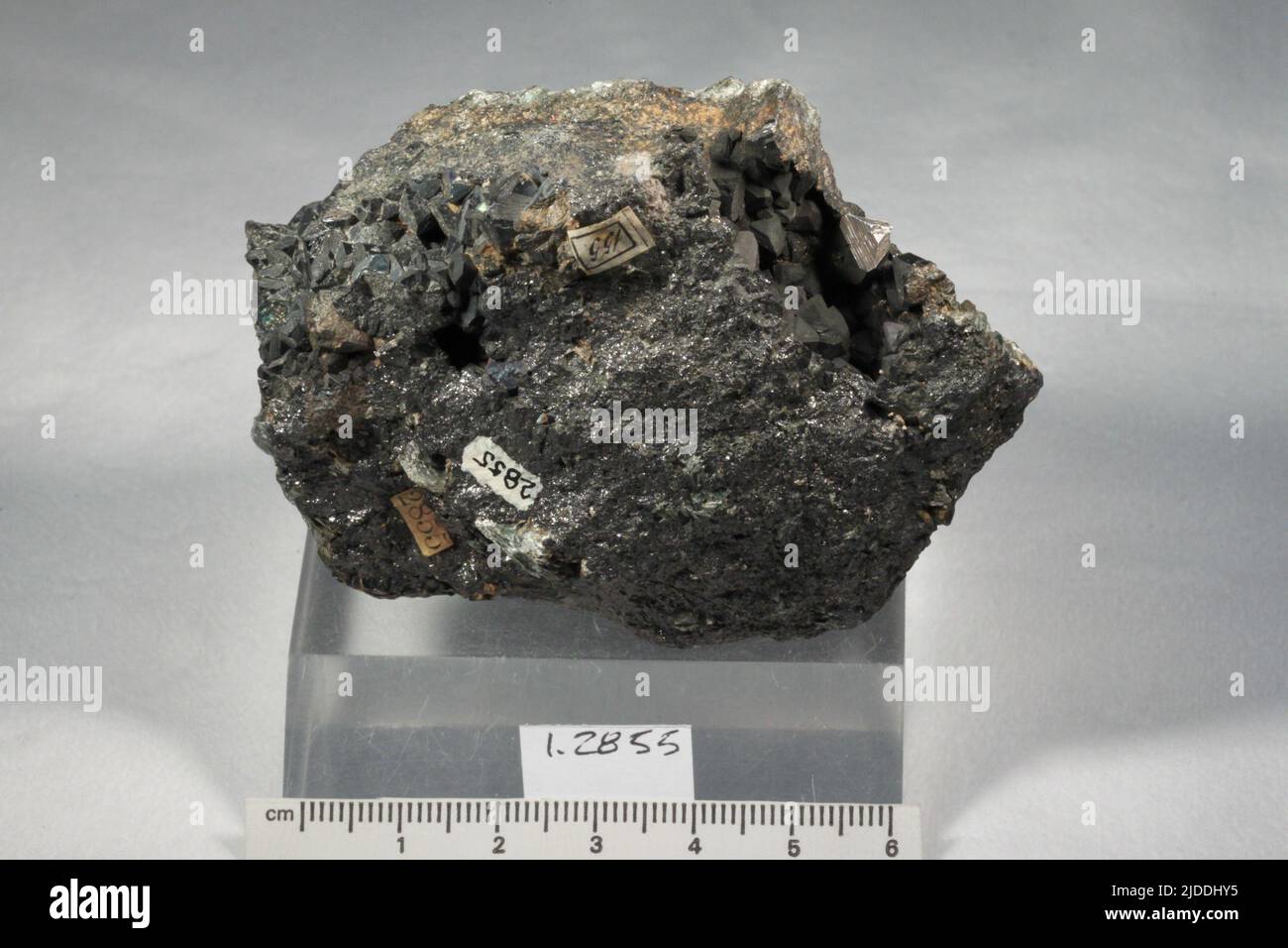 Magnetite. minerals. Europe; Italy; Piemont Region; Traversella Stock ...