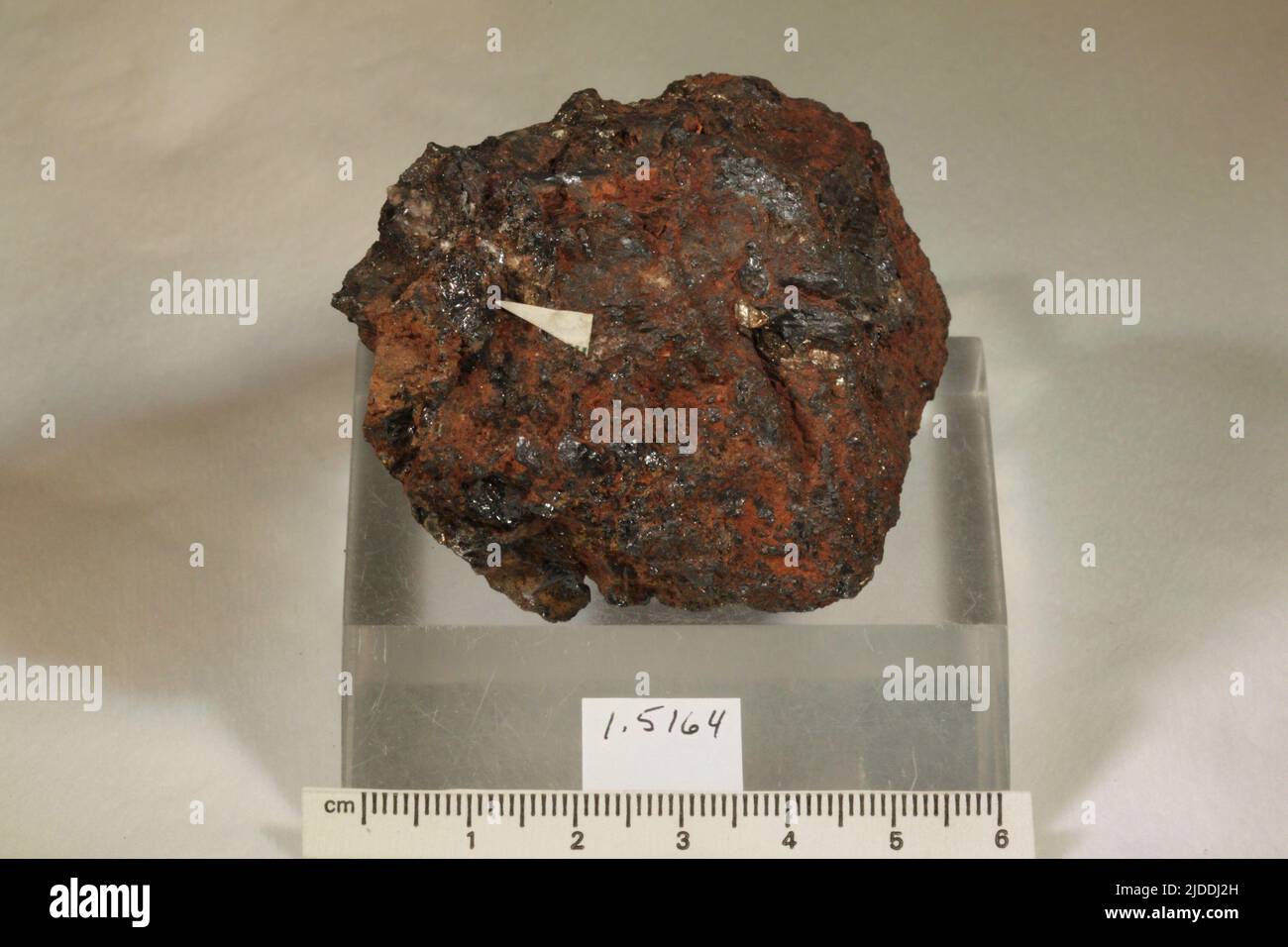 Davidite hi-res stock photography and images - Alamy