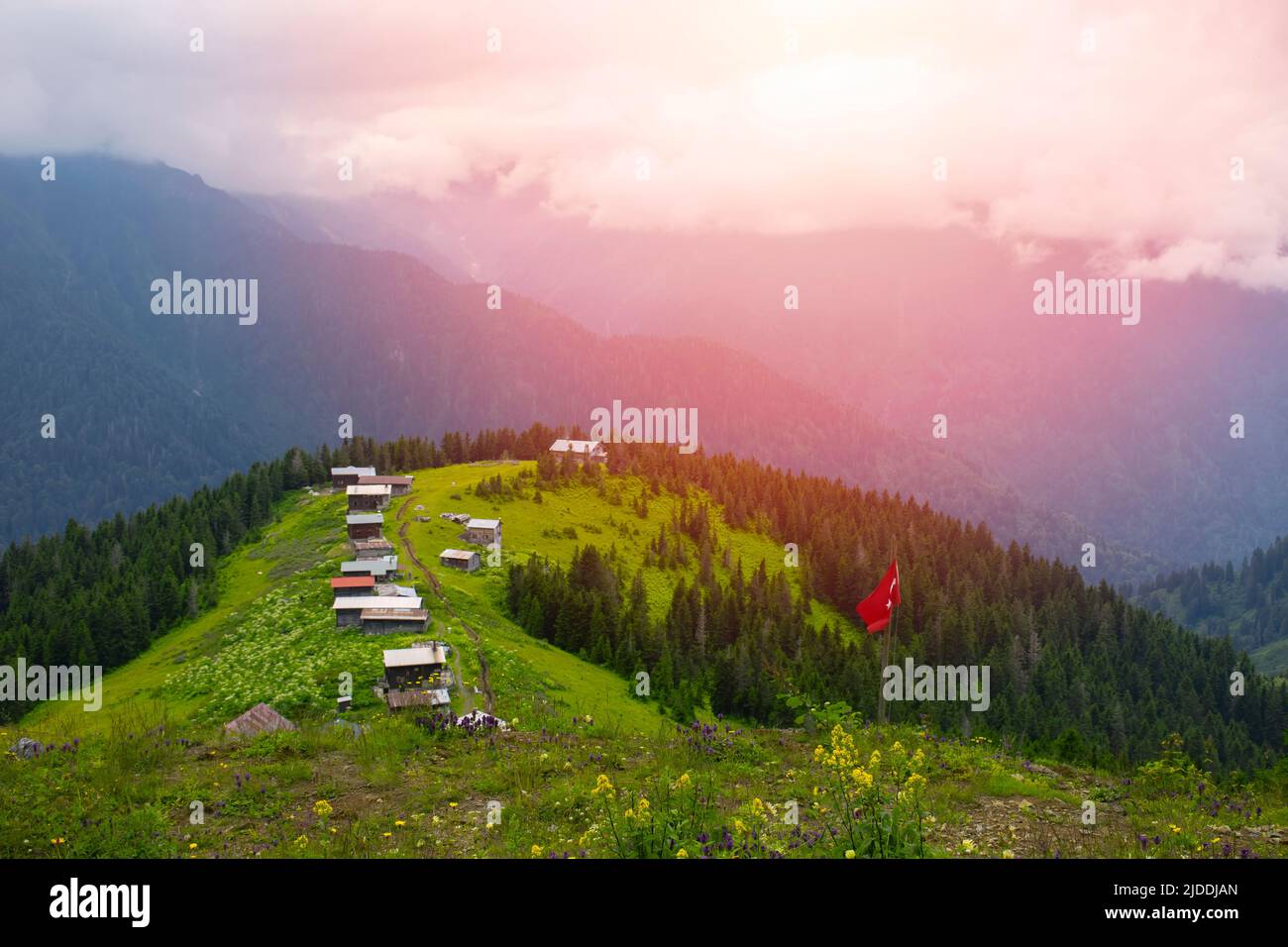 Pokut turkey hi-res stock photography and images - Alamy