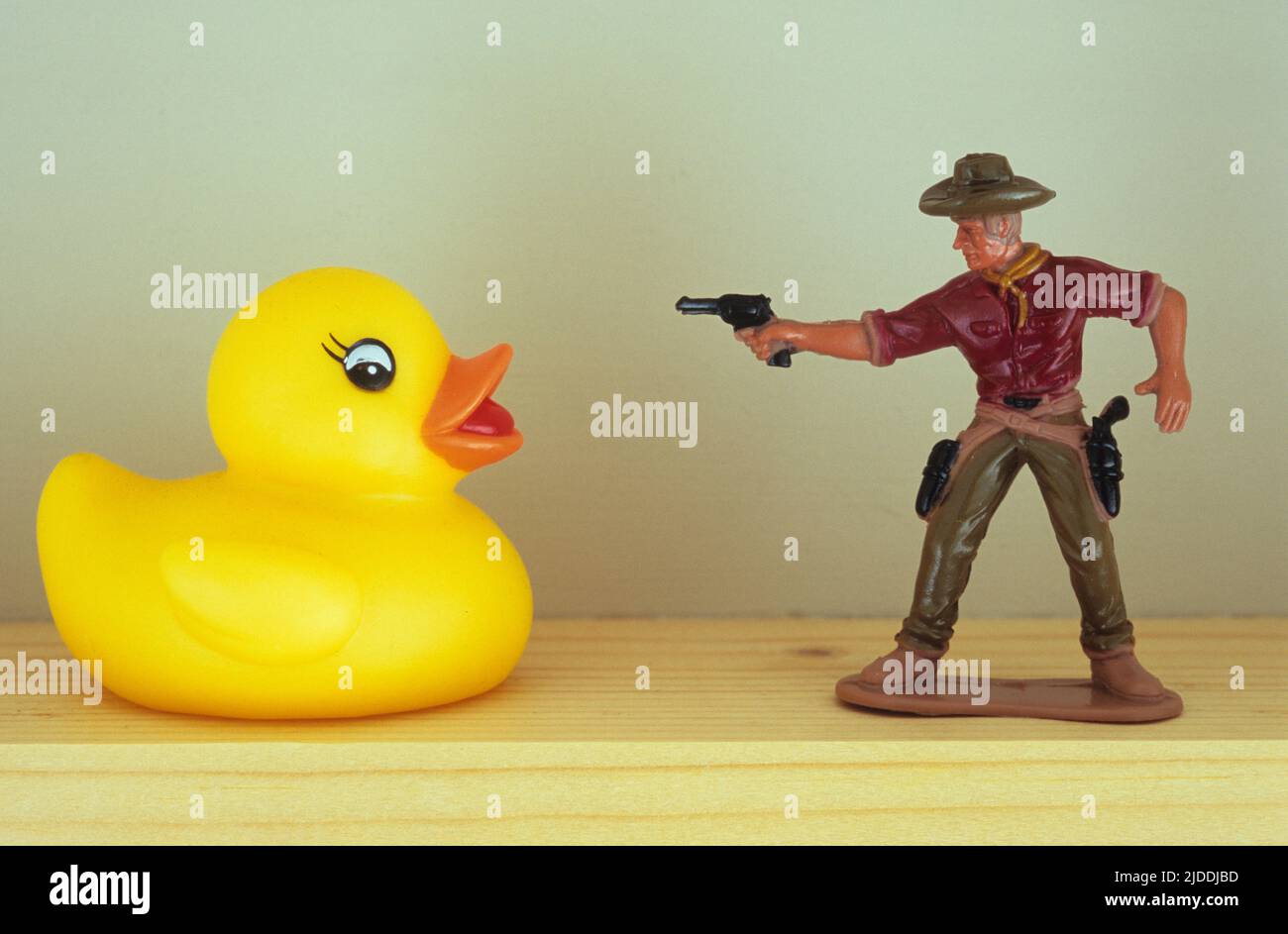 Duck takes on cowboy Stock Photo - Alamy