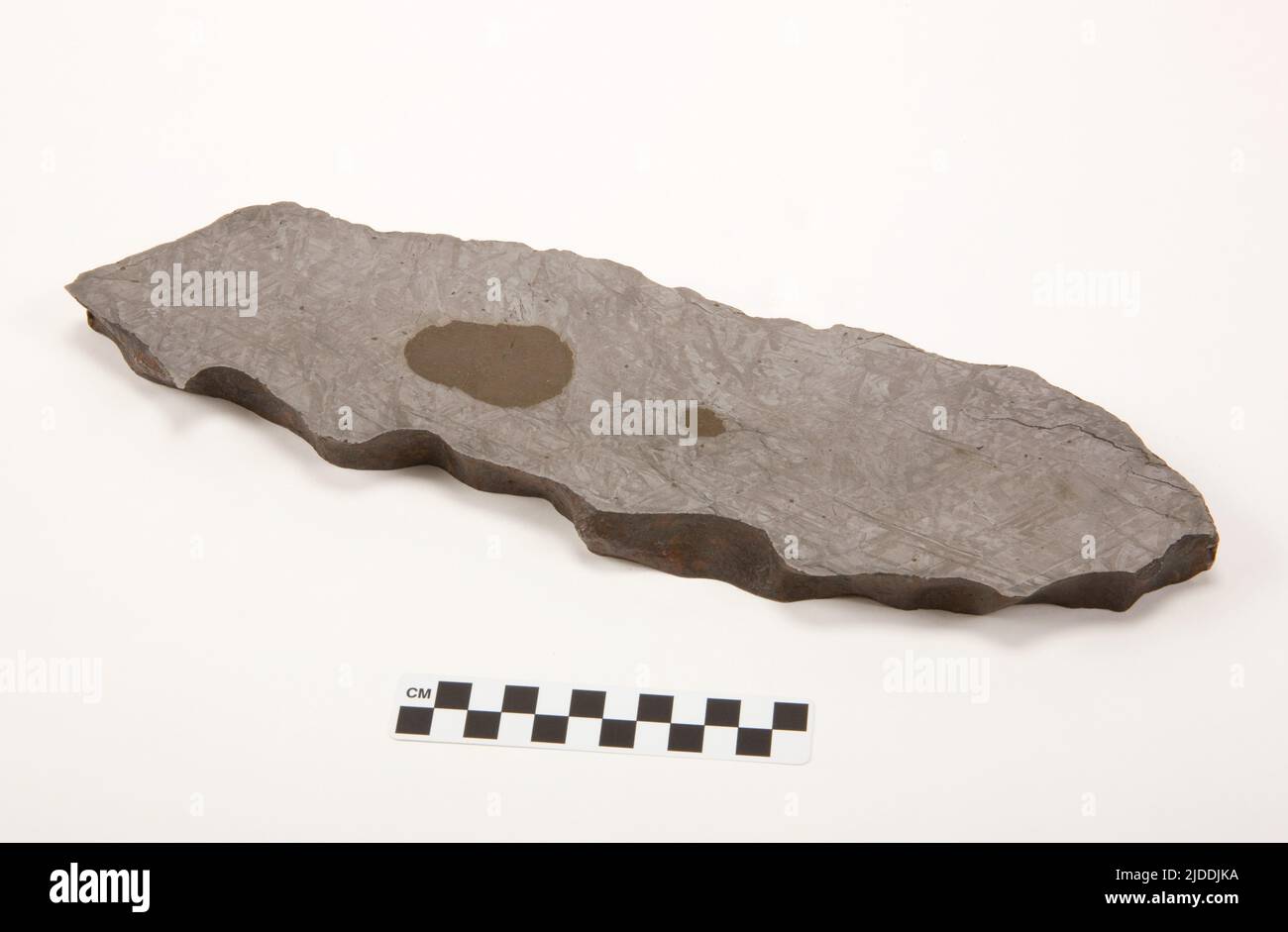 Sacramento Mountains Meteorite, Found 1890. North America; USA; New ...