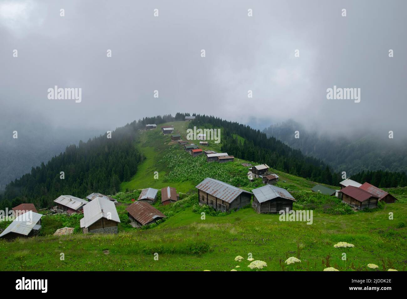 Pokut Plateau Rize Camlihemsin, Pokut plateau in the Black Sea and ...