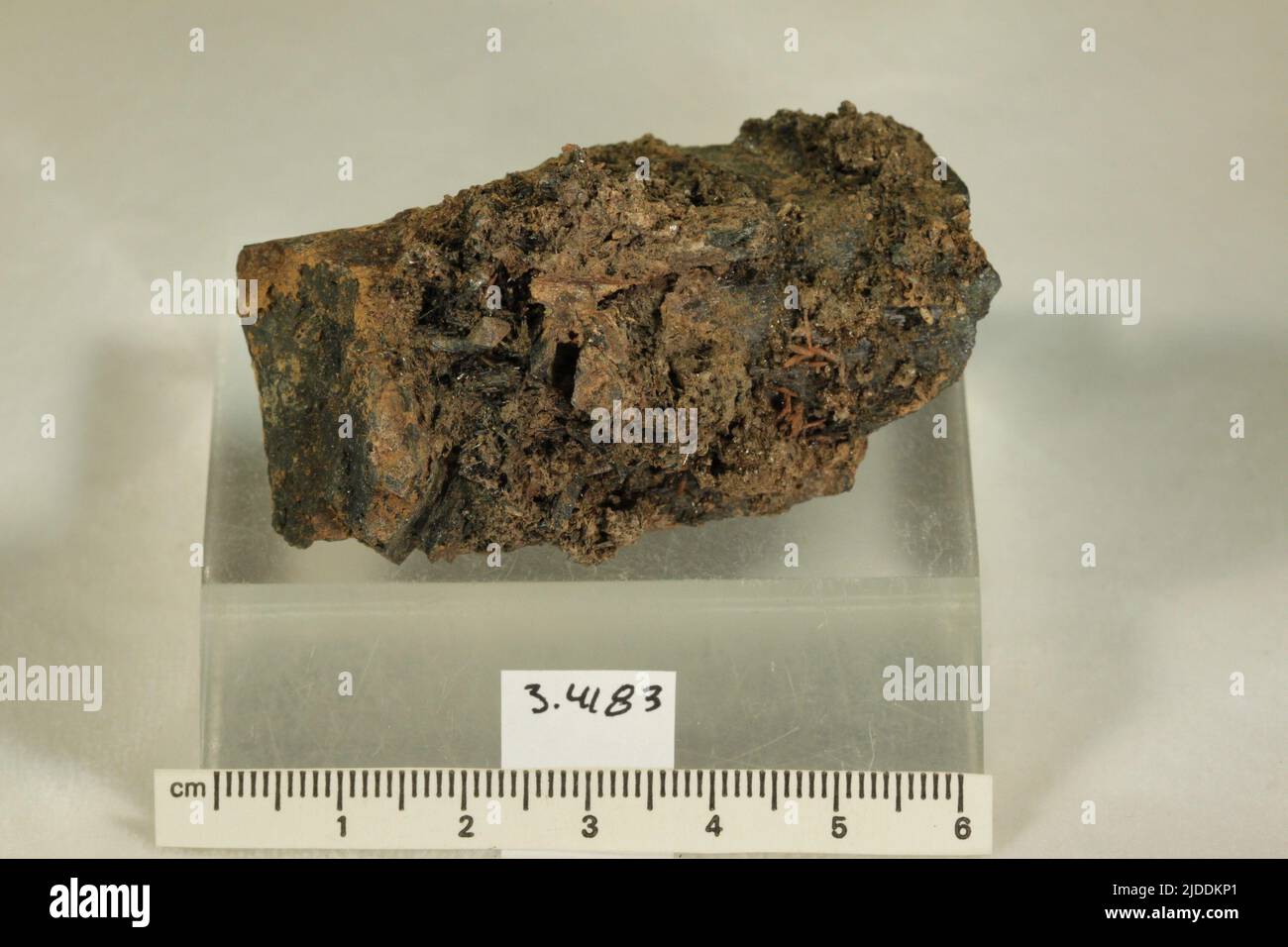 Parisite hi-res stock photography and images - Alamy