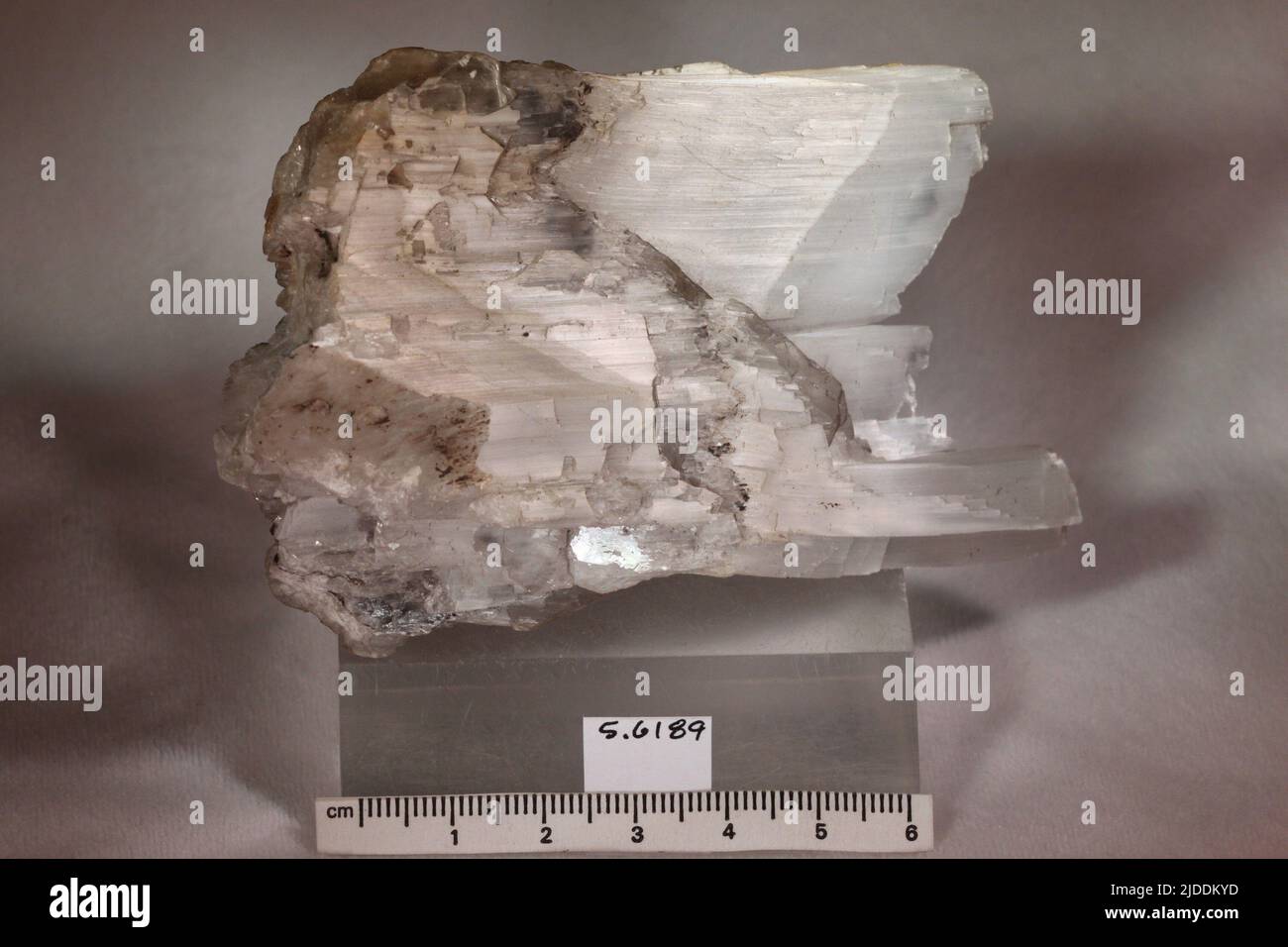 Gypsum. minerals. Europe; Switzerland; Aargau Canton; Ehrendingen Stock ...