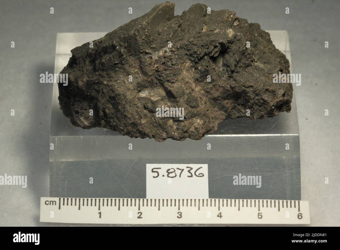 Moschel hi-res stock photography and images - Alamy