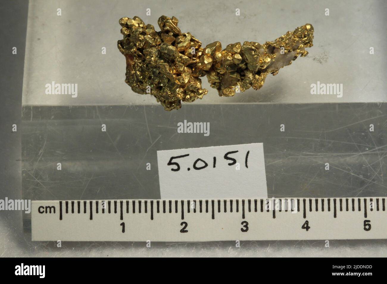 Gold. minerals. North America; USA; California; Tuolumne County Stock ...