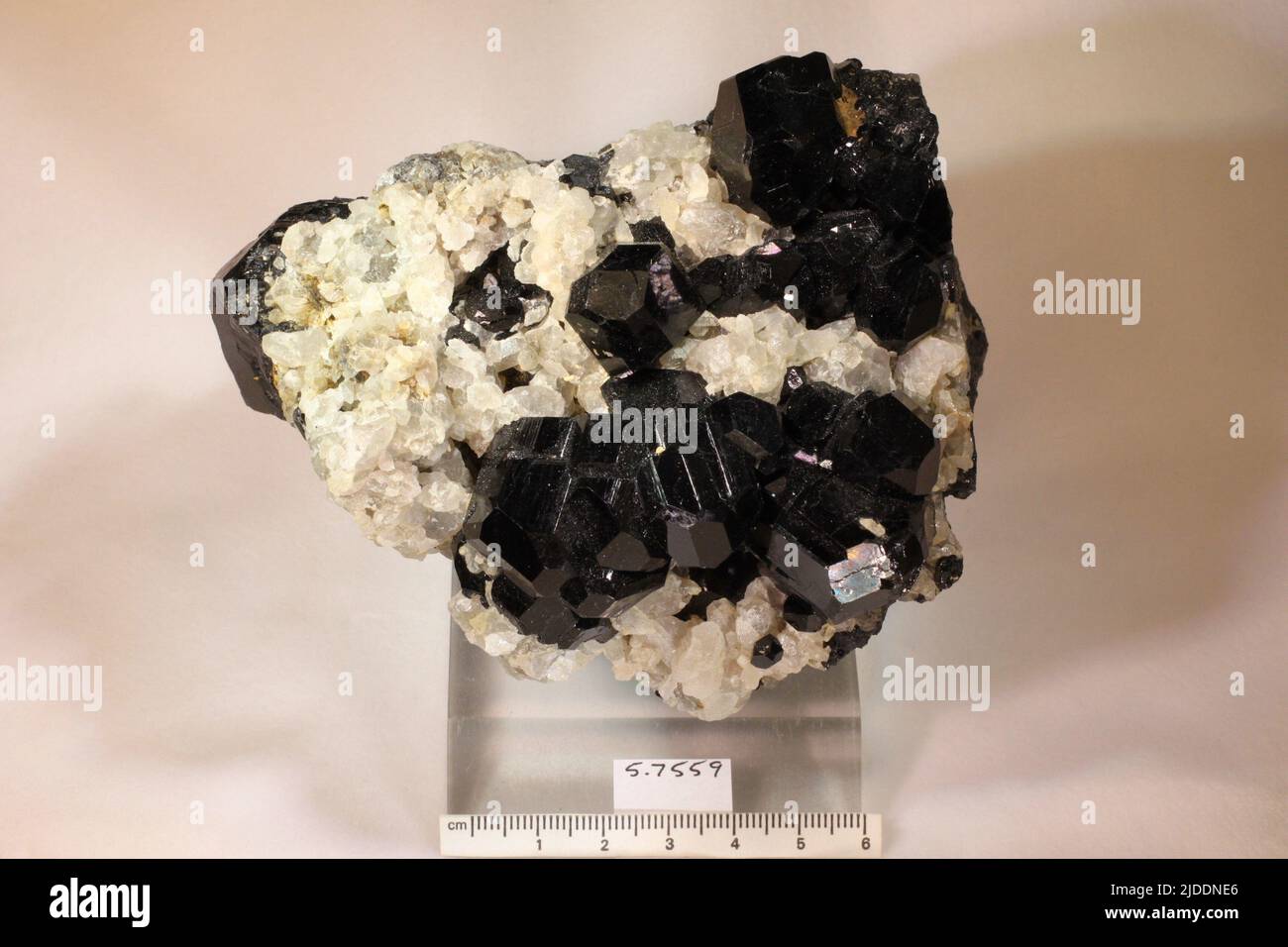 Tourmaline. minerals. North America; USA; New York; Saint Lawrence ...