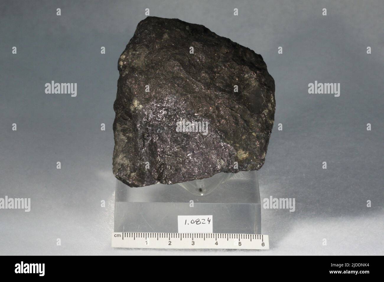 Bornite. minerals. North America; Canada; Port Arthur, Acton Mine Stock ...