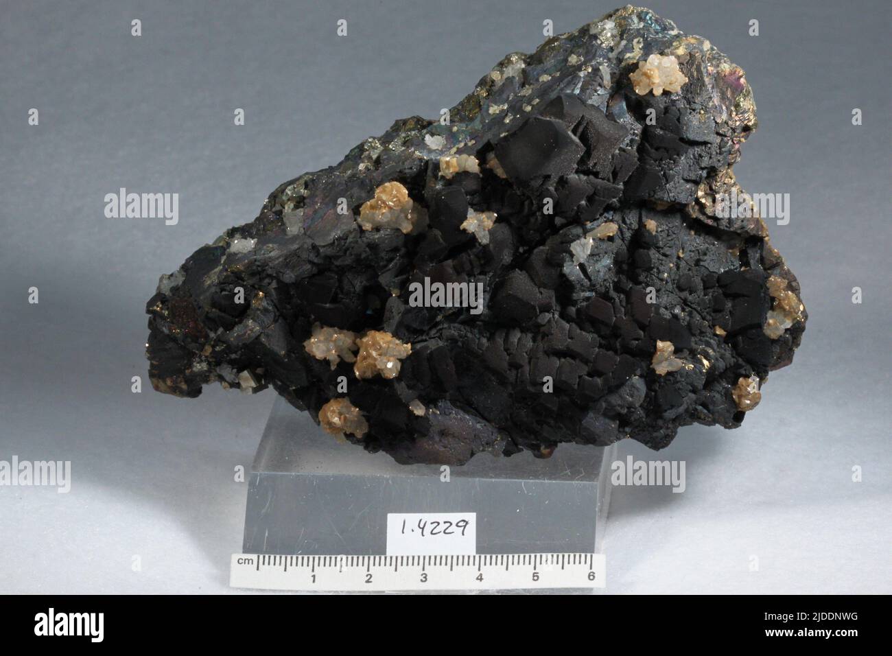 Tennantite. minerals. South America; Bolivia Stock Photo - Alamy