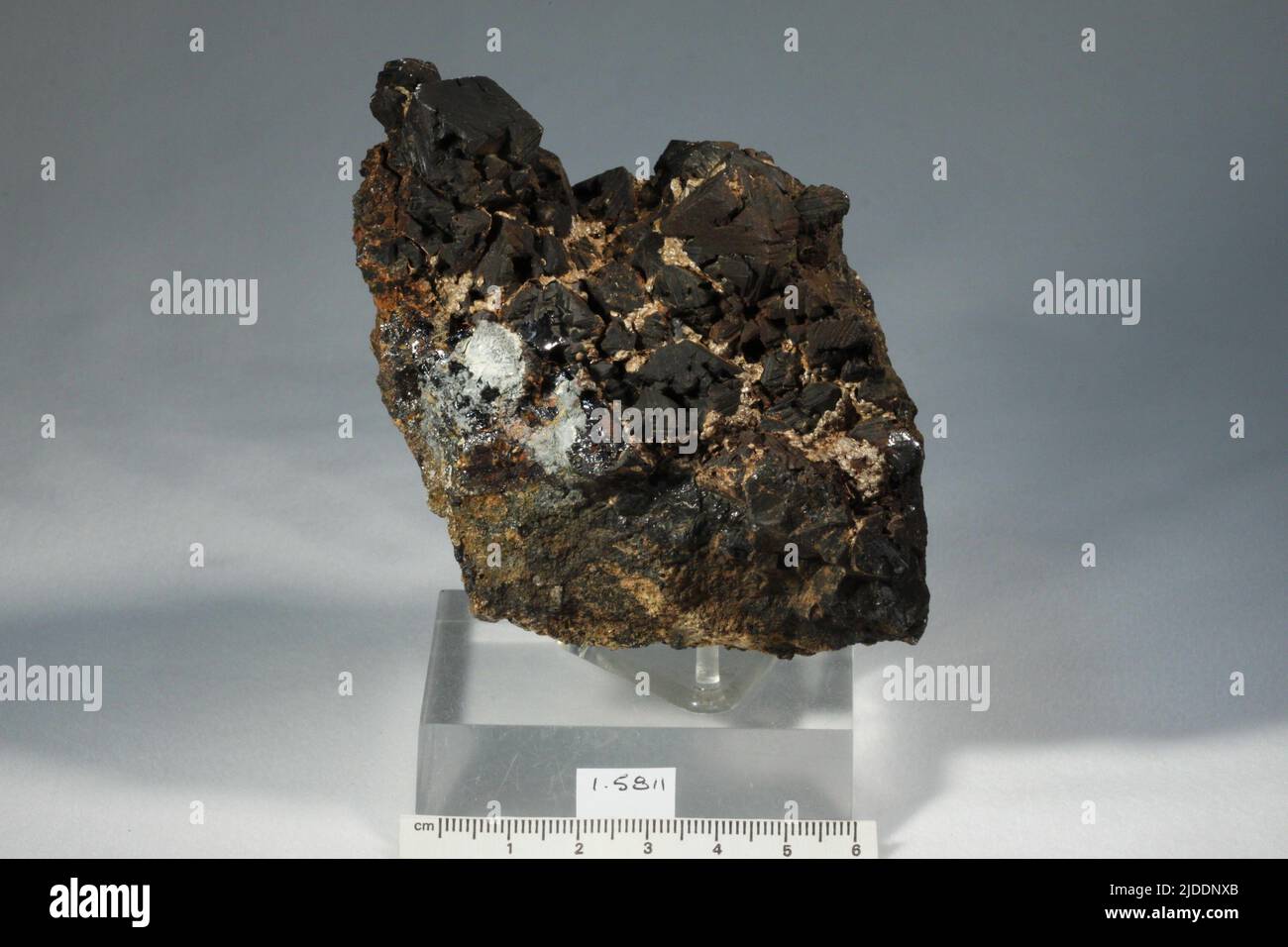Magnetite. minerals. Europe; Italy; Piemont Region; Traversella Stock ...
