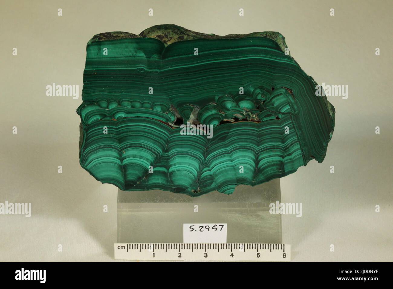 Malachite. minerals. Africa; Zaire; Katanga District Stock Photo - Alamy