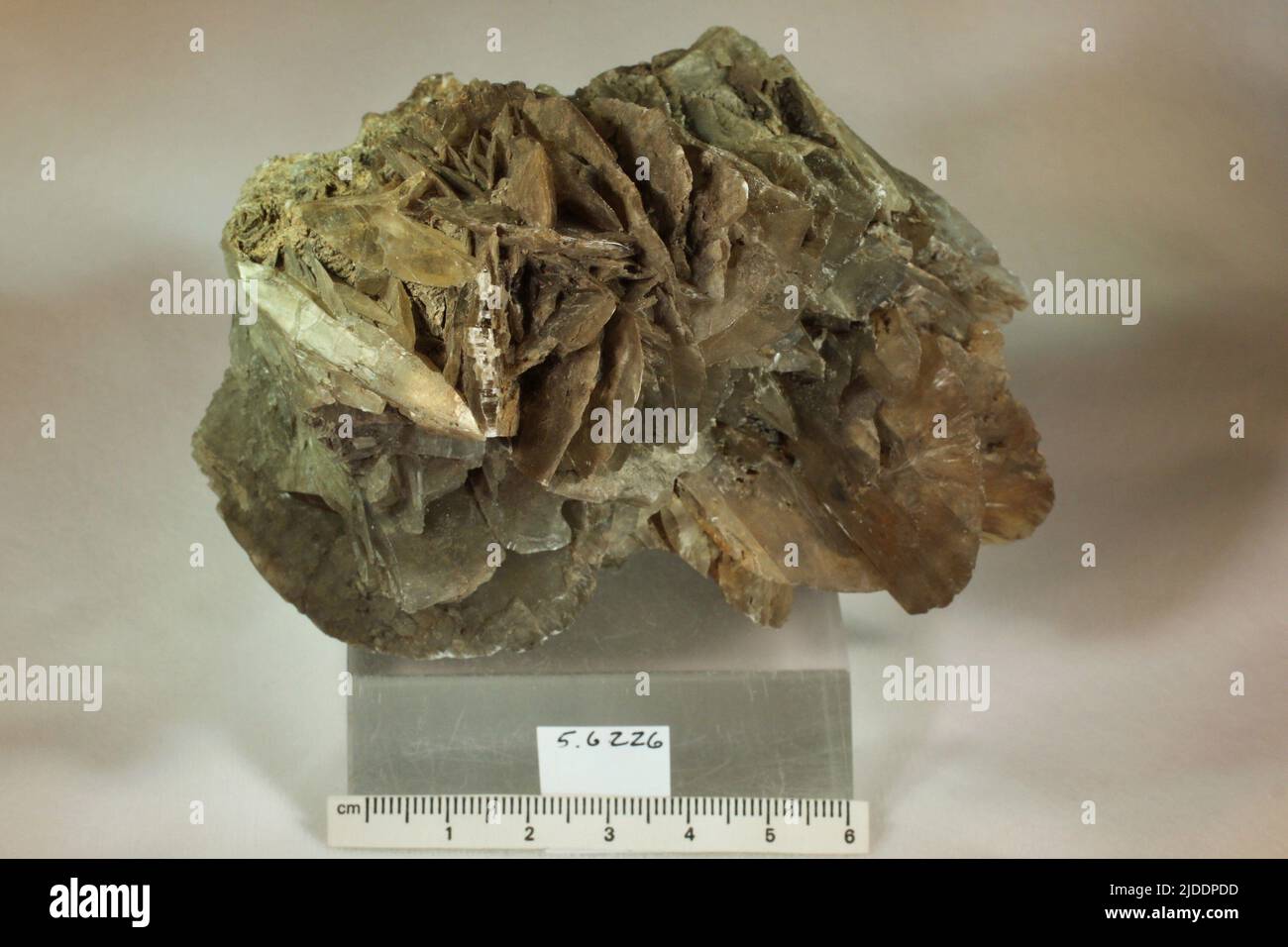 Gypsum. minerals. Europe; Germany; Hessen, Mainz Stock Photo - Alamy