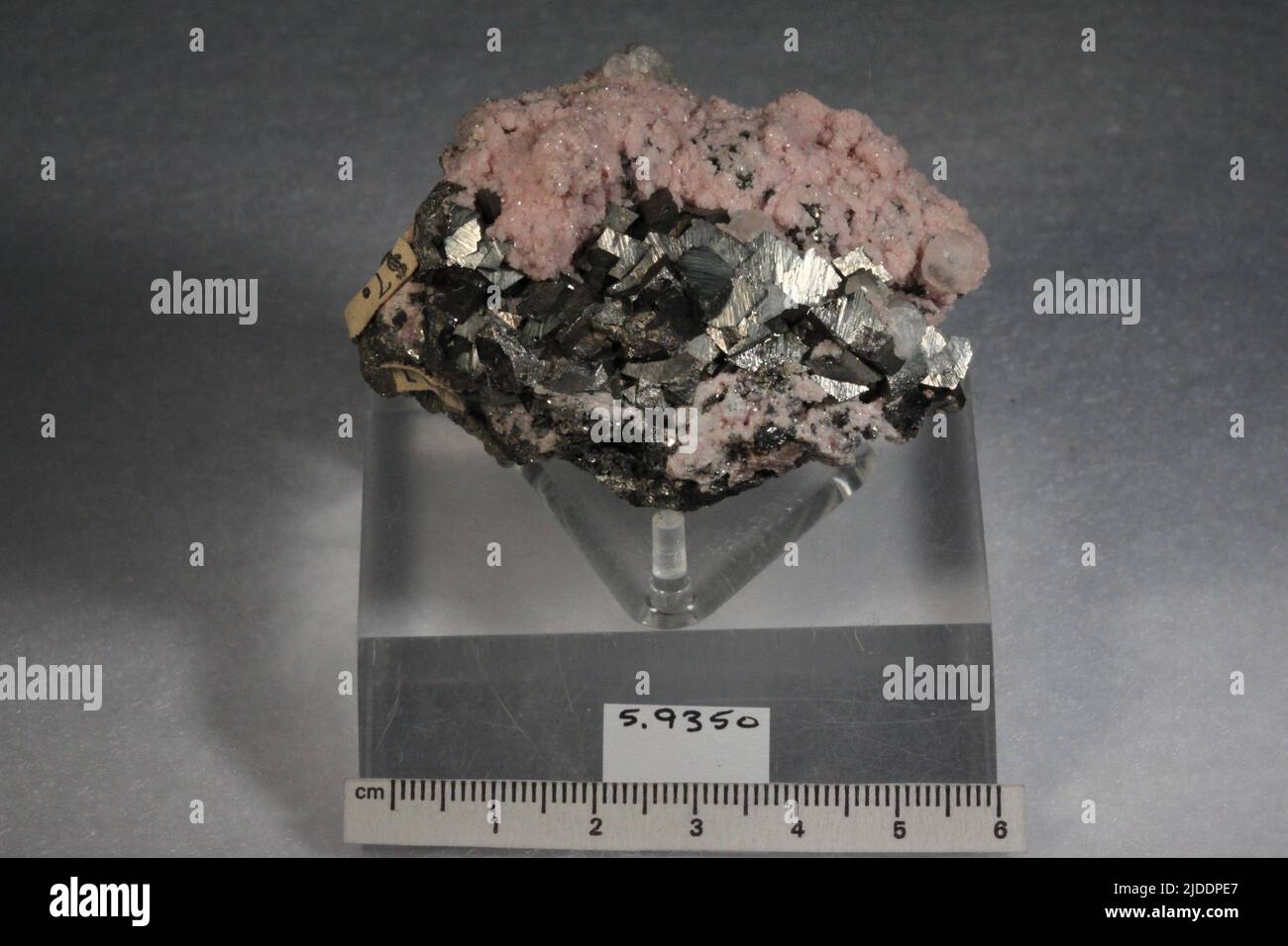 Arsenopyrite. minerals. Europe; Kosovo; Trepca; Trepca [Yugoslavia ...