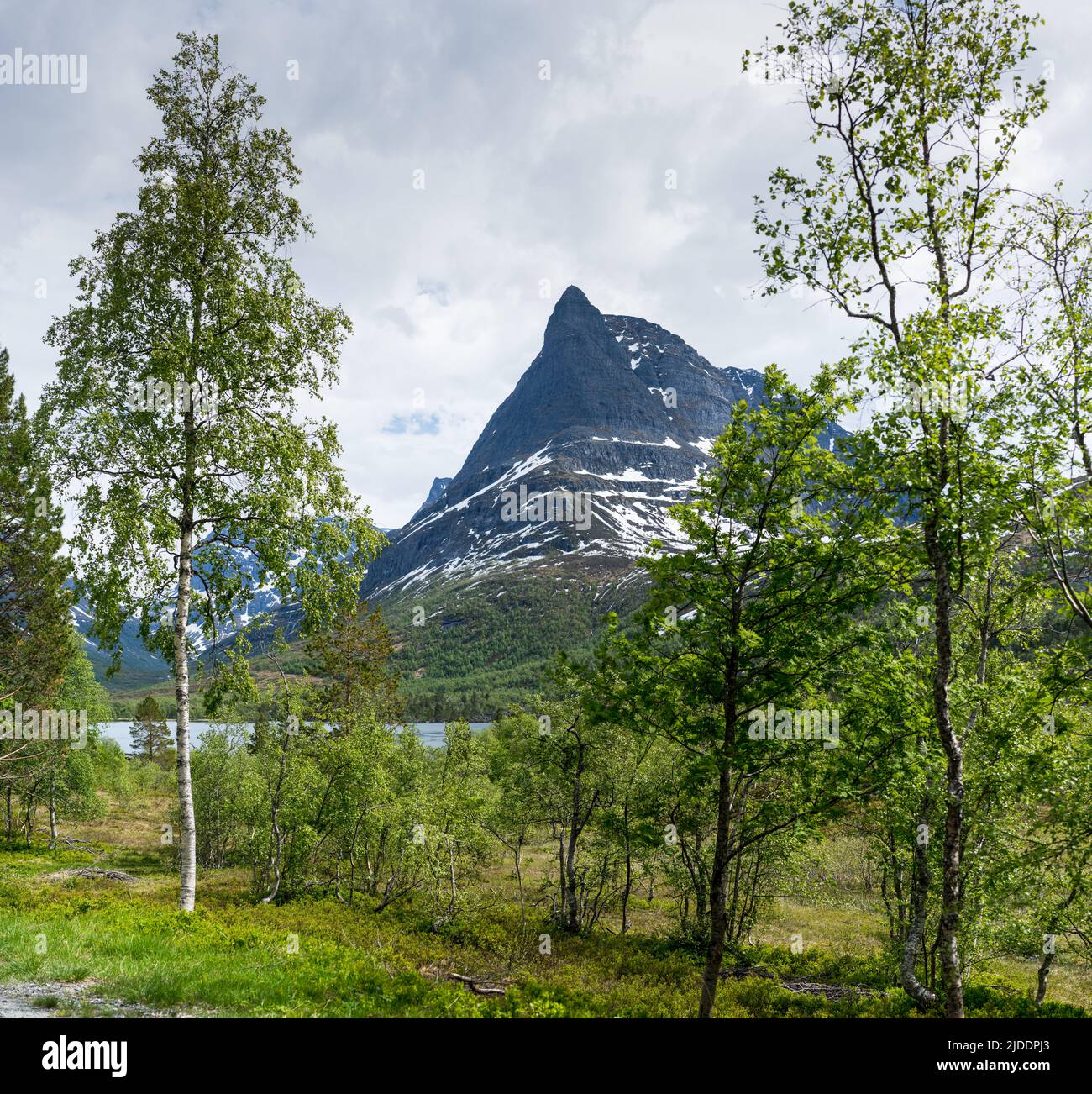 Innerdalen valley, Norway, Europe Stock Photo - Alamy