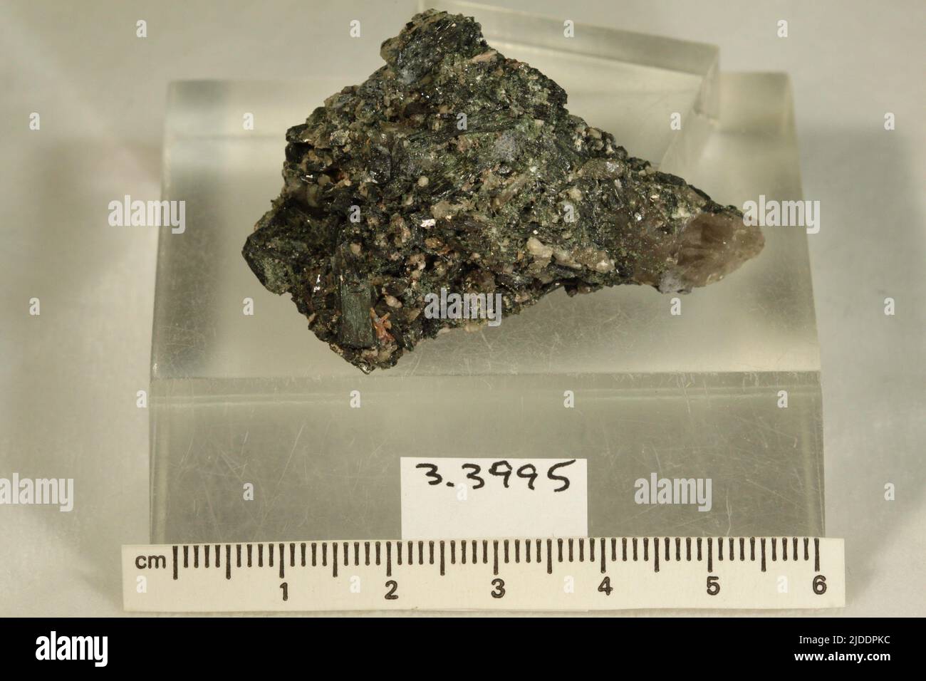 Parisite hi-res stock photography and images - Alamy