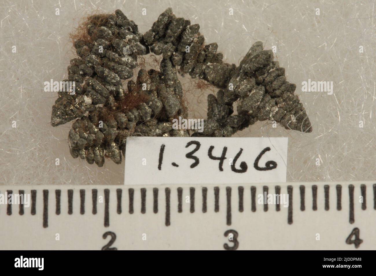 Marcasite. minerals. North America; Mexico; Guanajuato State Stock ...