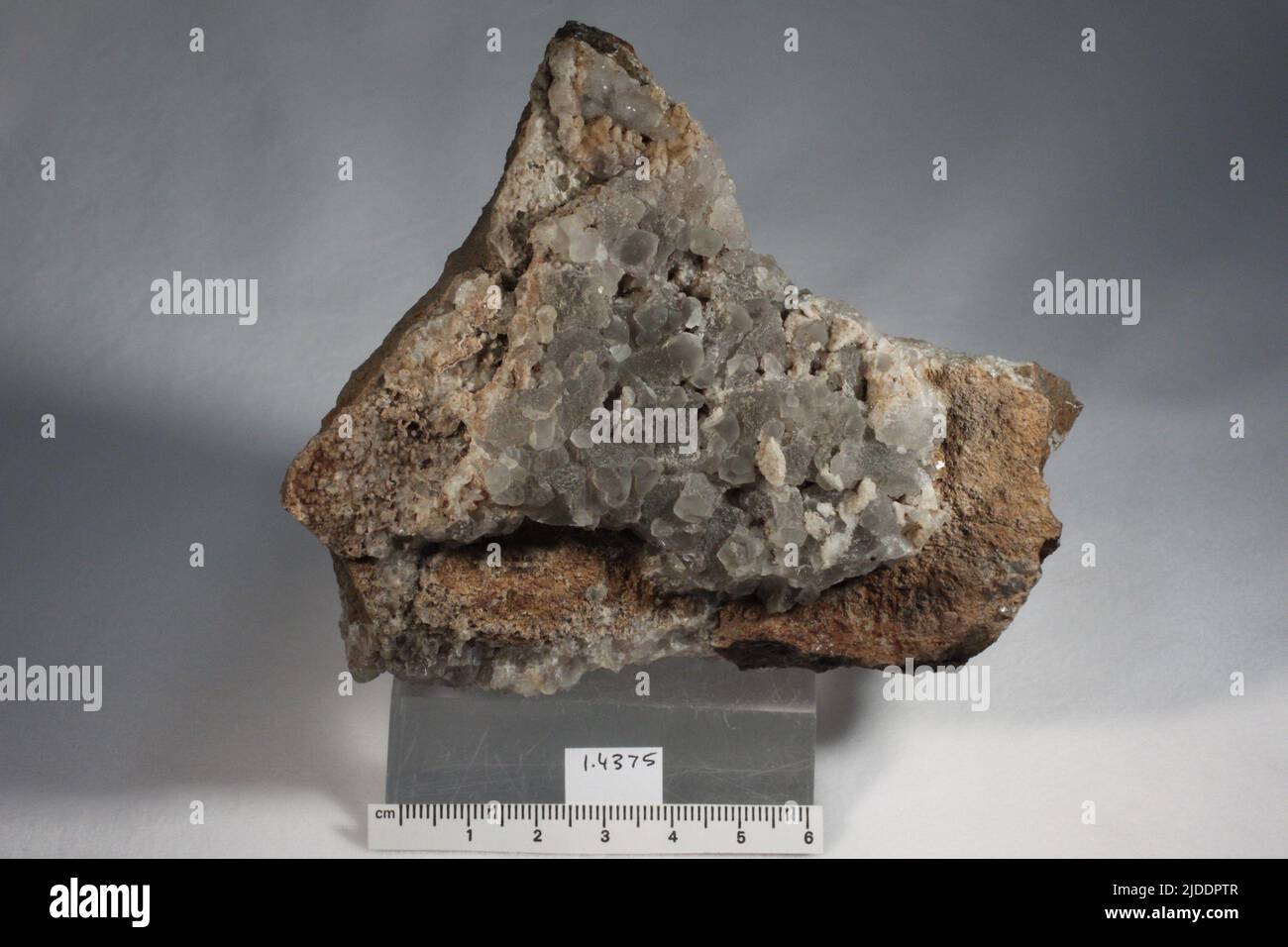 Fluorite. minerals. North America; Mexico; Guanajuato State; Guanajuato ...