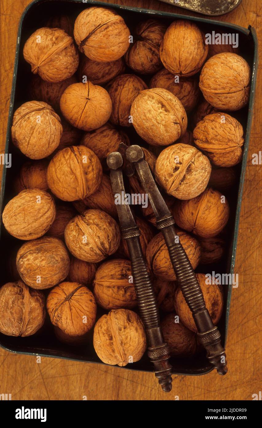 Close up from above of walnuts in their shells lying in a tin with ...