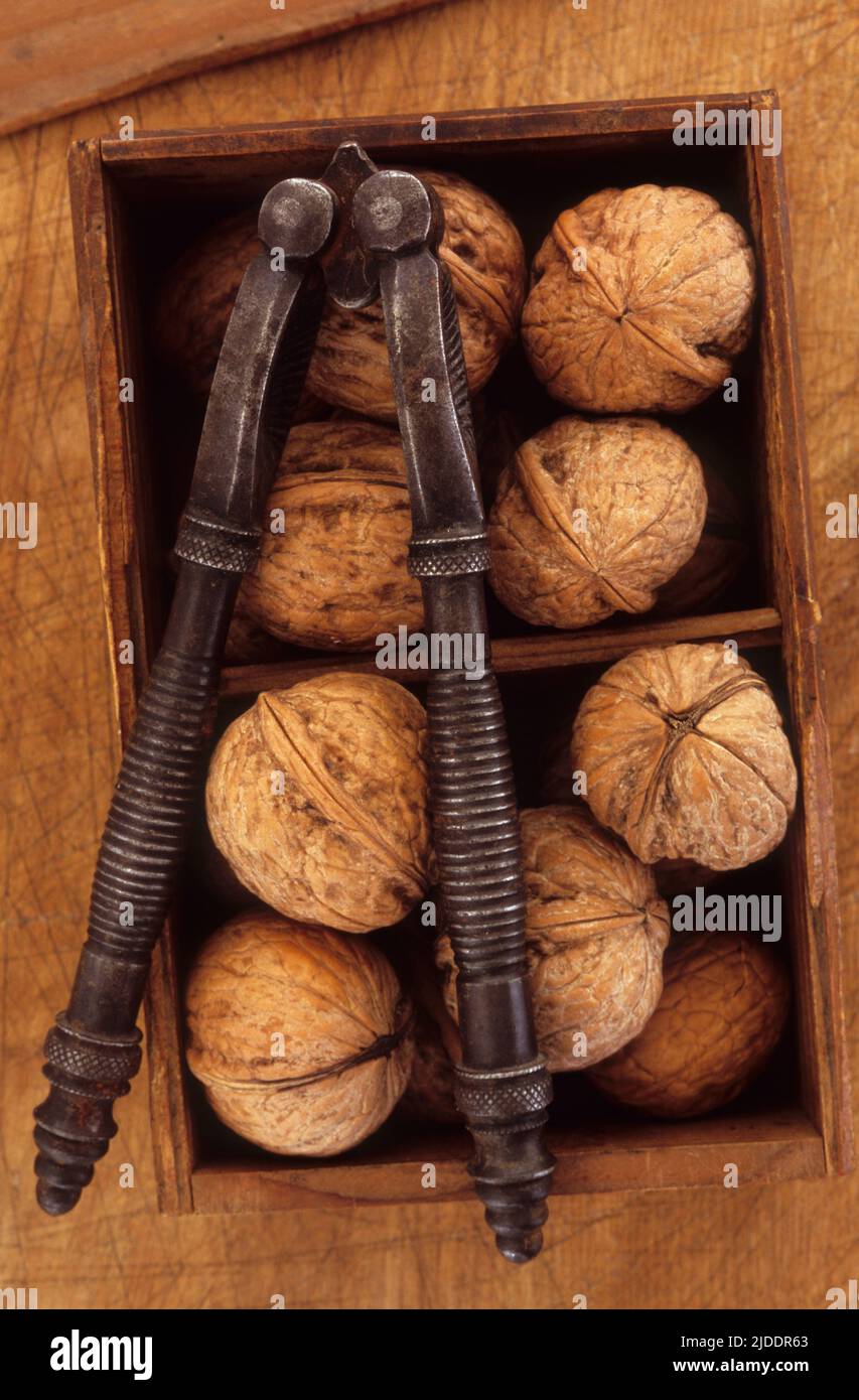 Close up from above of walnuts in their shells lying in ...