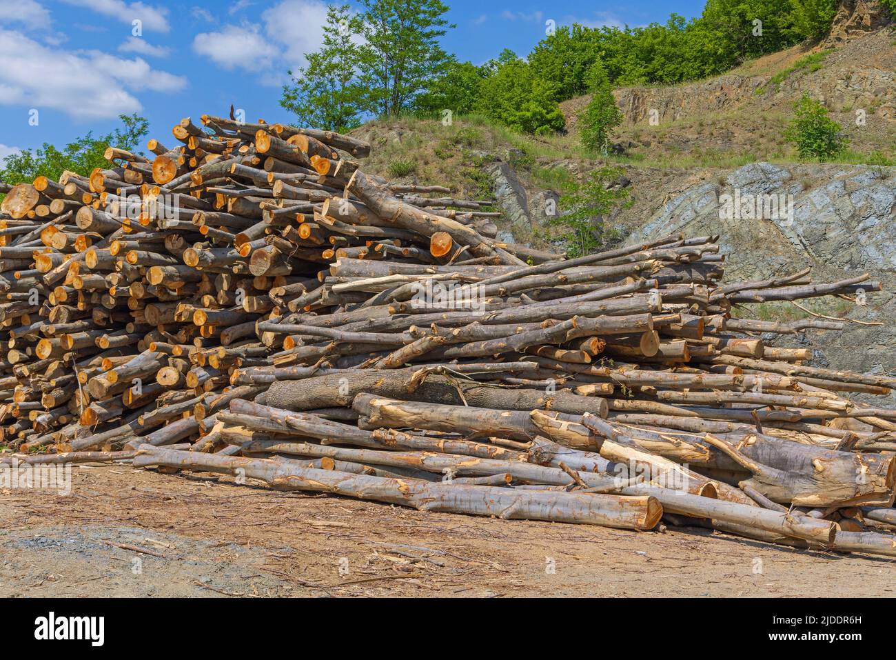 Huge Pile of Wooden Logs Lumber Timber Industry Stock Photo - Alamy