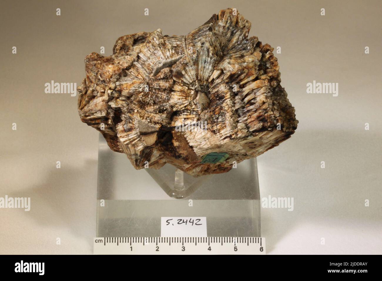 Quartz. minerals. North America; USA; Georgia; Hall County; Gold ...