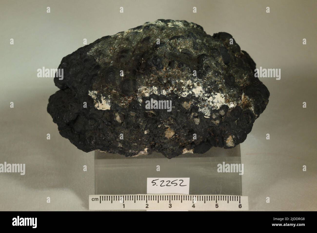 Rengersdorf hi-res stock photography and images - Alamy