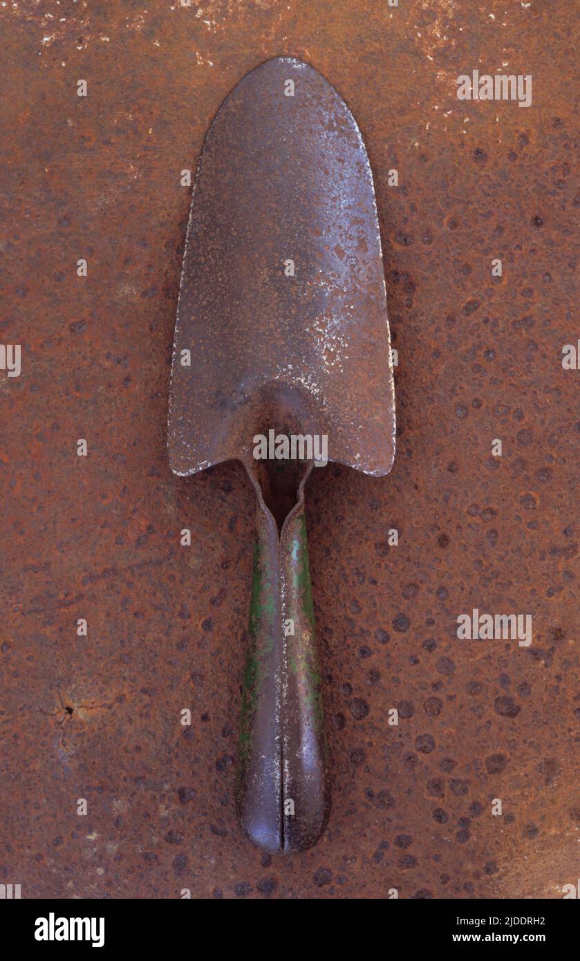 Close up from above of well-used but slightly rusty garden trowel lying ...