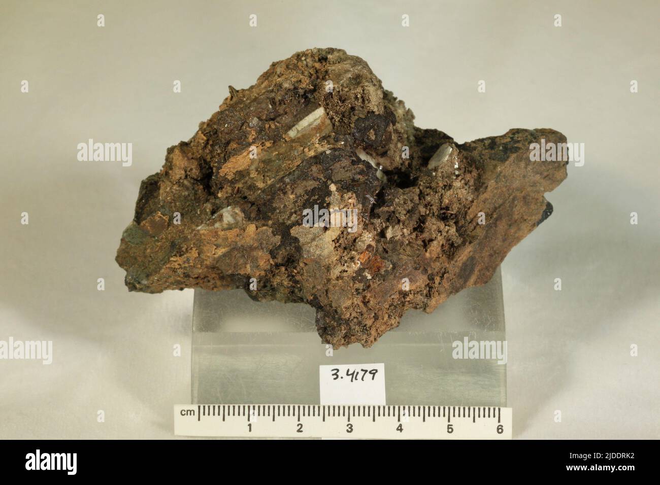 Parisite hi-res stock photography and images - Alamy