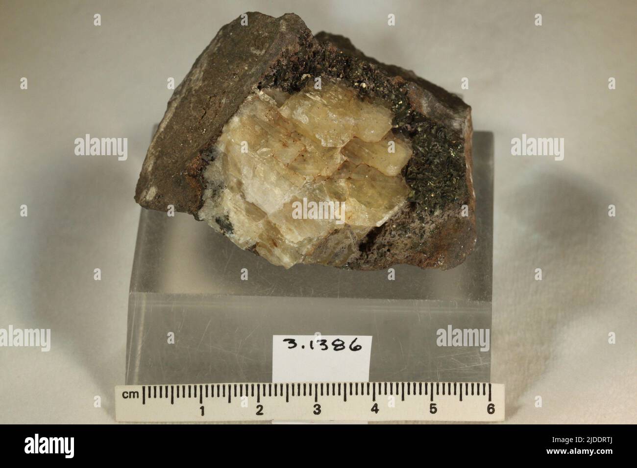 Crystal scales hi-res stock photography and images - Alamy
