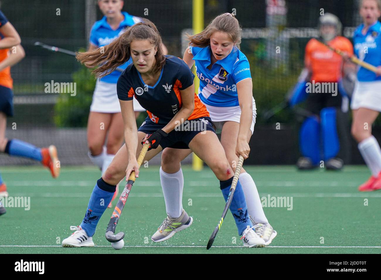 Marieke houtackers hi-res stock photography and images - Alamy
