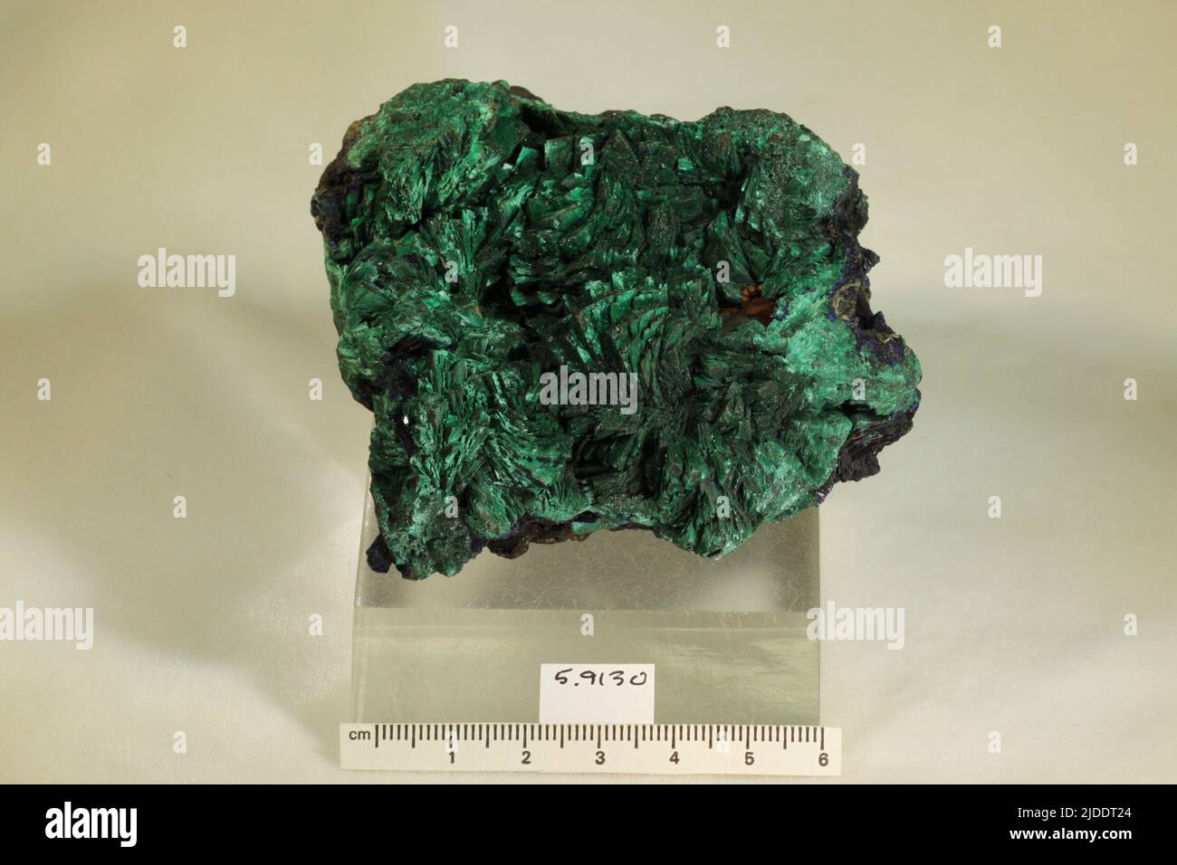 Malachite. minerals. North America; USA; Arizona; Greenlee County ...