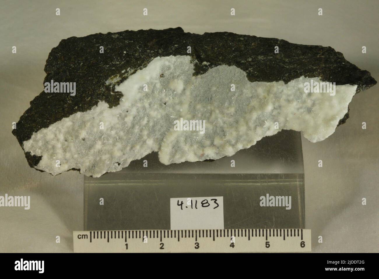 Artinite hi-res stock photography and images - Alamy