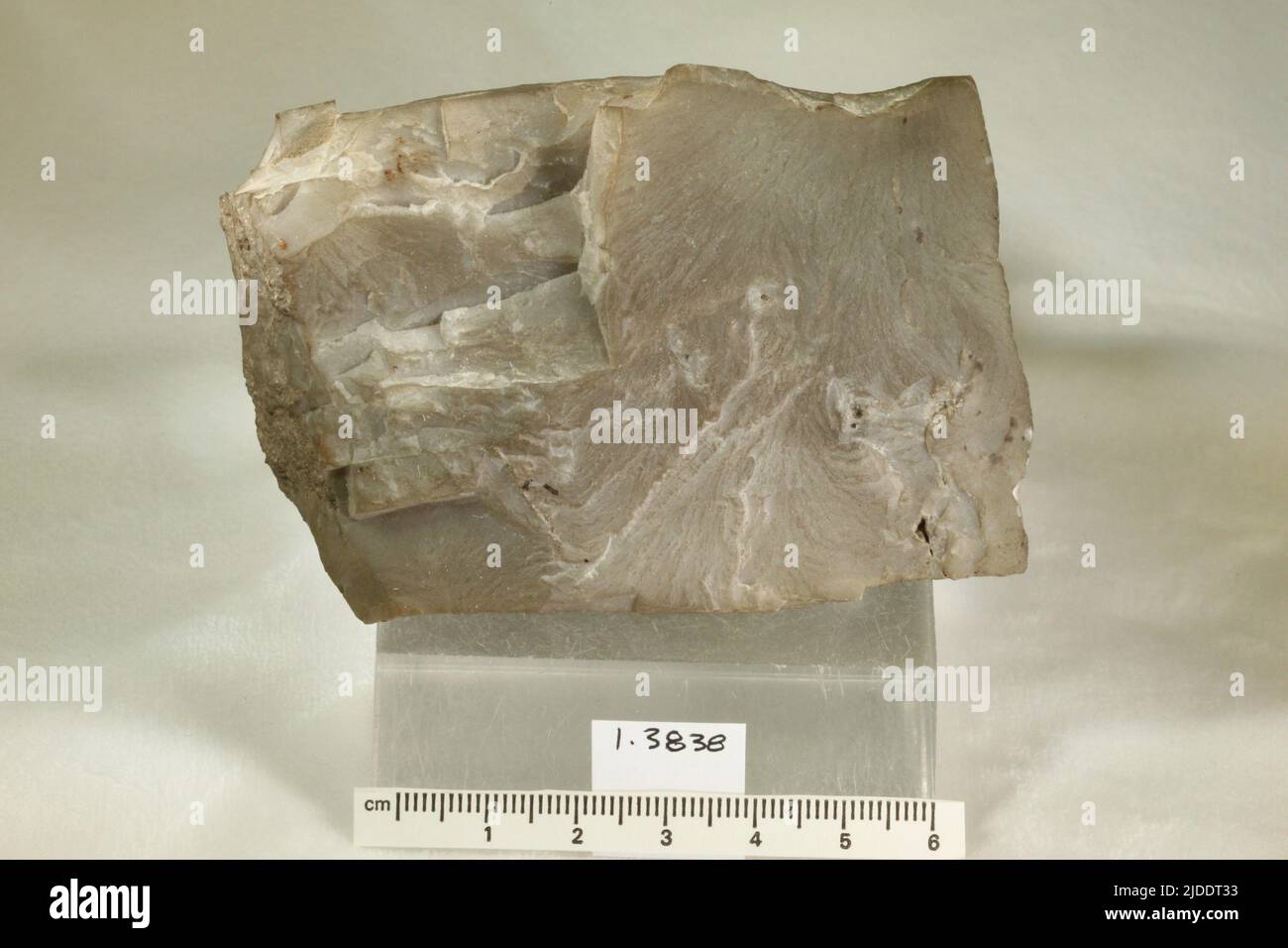 Quartz. minerals. North America; USA; Arkansas; Garland County; Hot ...