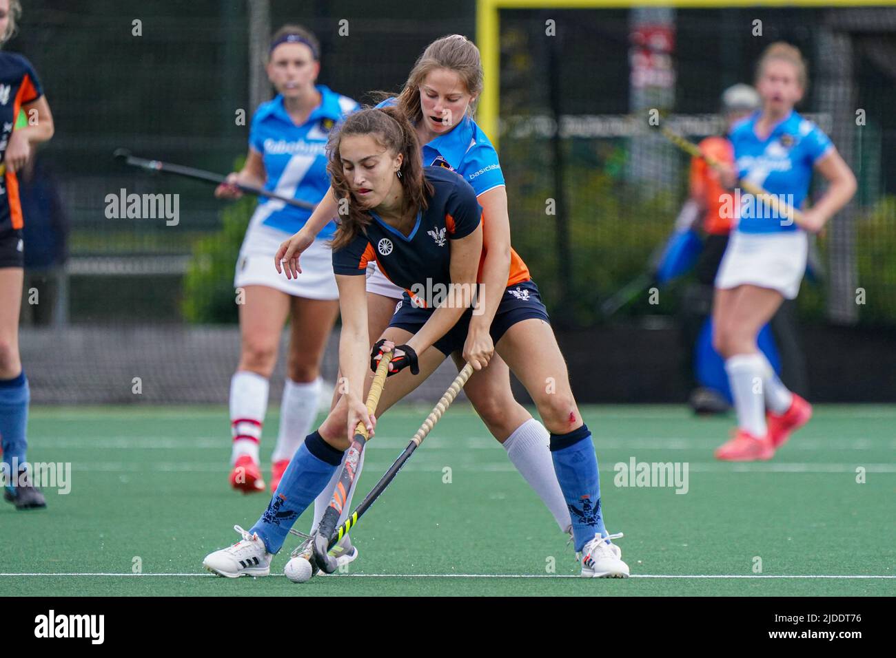 Nina bijl hi-res stock photography and images - Alamy