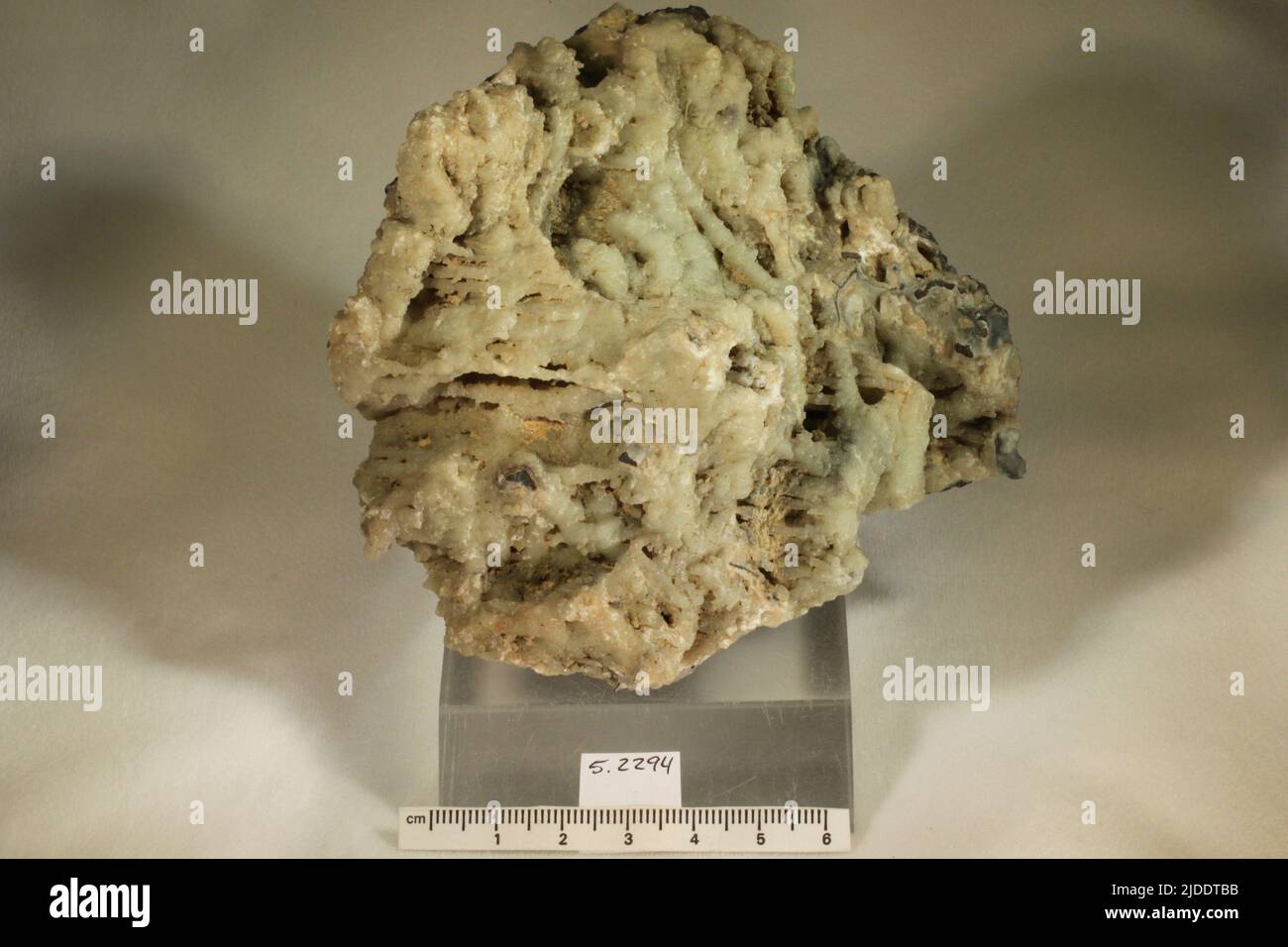 Gibbsite. minerals. North America; USA; New York; Dutchess County ...