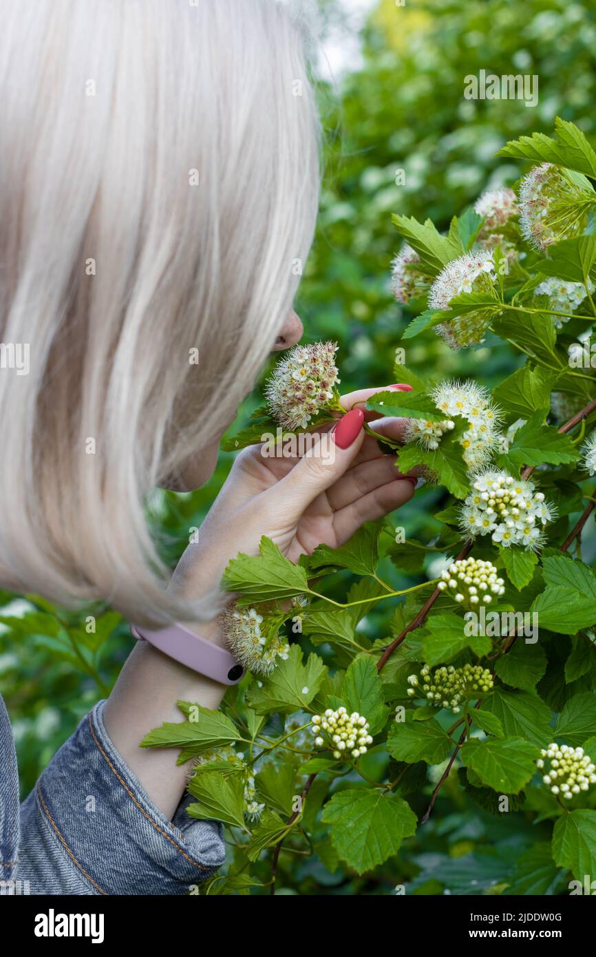girl sniffing a flower growing on the bushes. High quality photo Stock ...