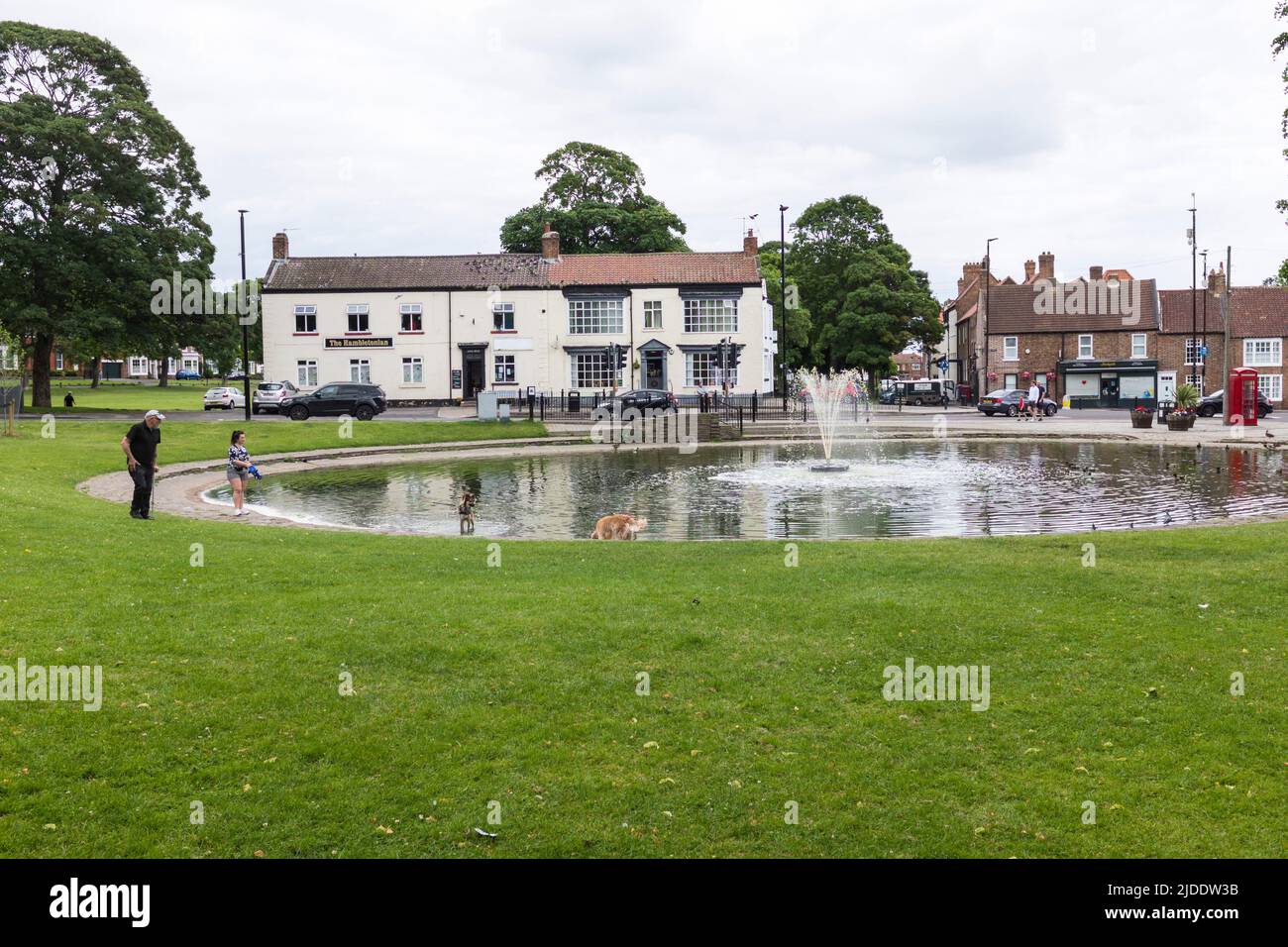The scenic duck pond area at Norton on Tees,England,UK Stock Photo - Alamy