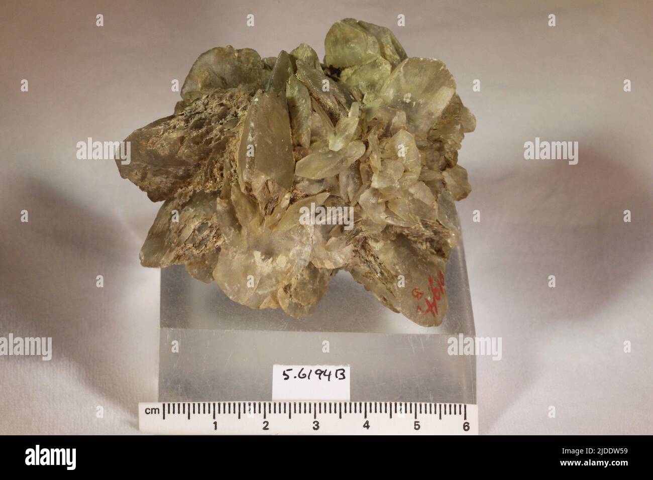 Gypsum. minerals. Europe; Austria; Salzburg Province Stock Photo - Alamy