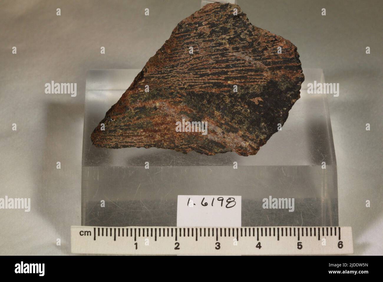 Davidite hi-res stock photography and images - Alamy