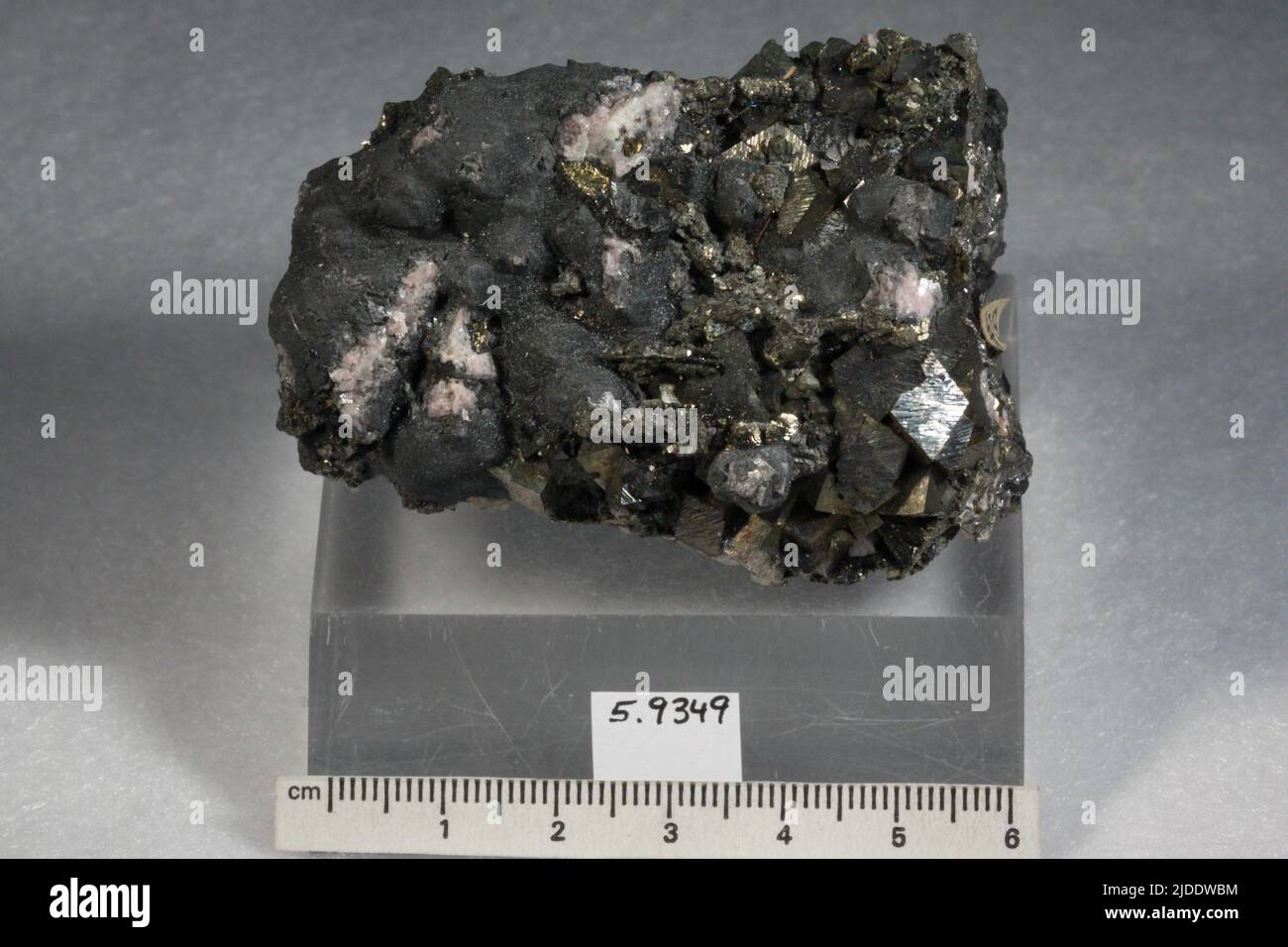 Arsenopyrite. minerals. Europe; Kosovo; Trepca; Trepca [Yugoslavia ...