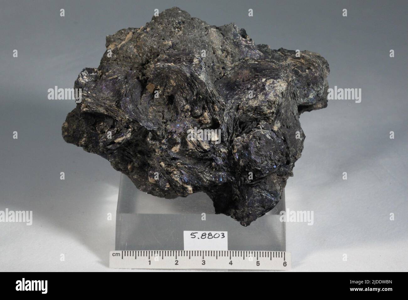 Covellite minerals hi-res stock photography and images - Alamy