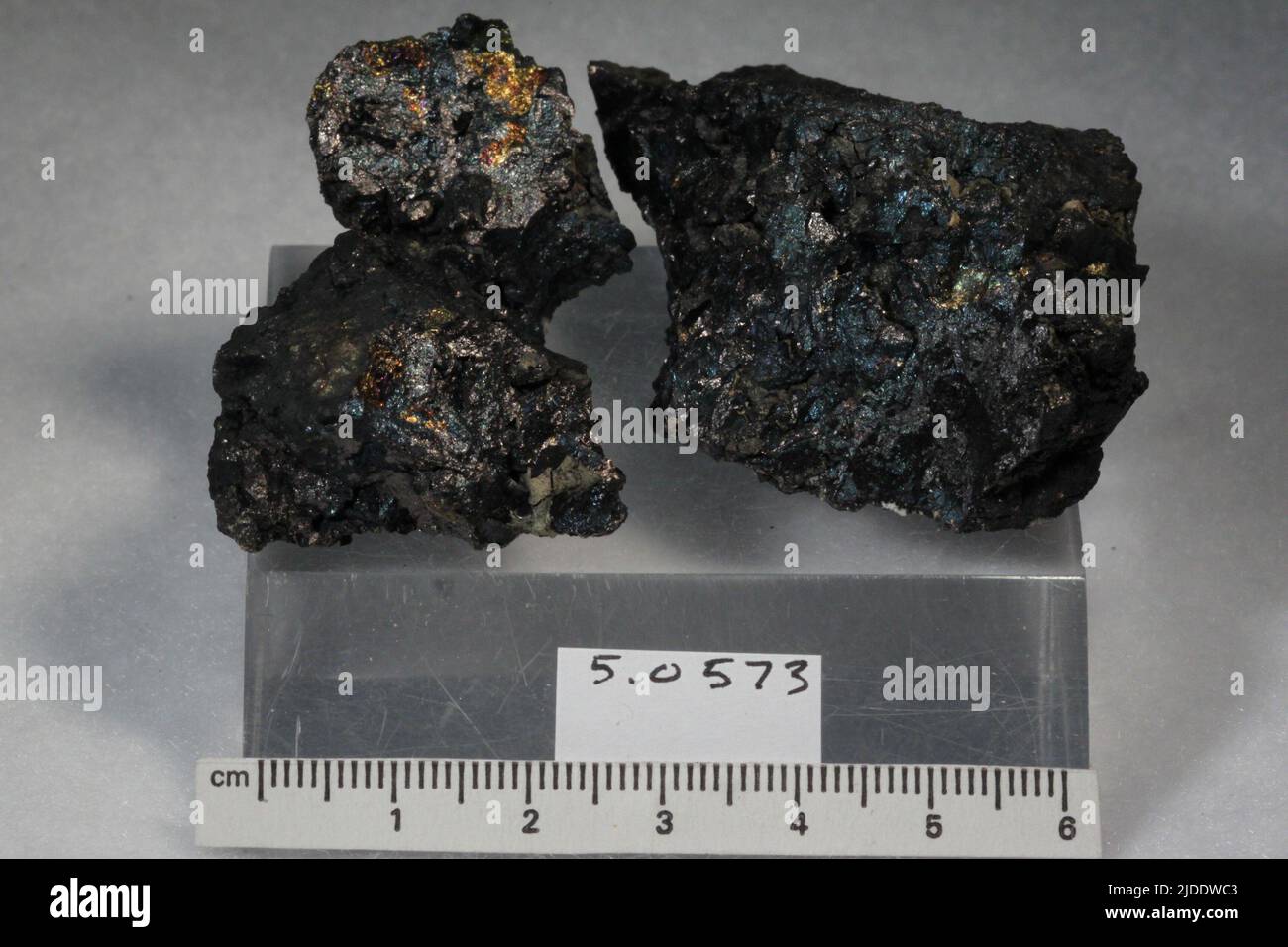 Bornite. minerals. North America; USA; Connecticut; Hartford County ...