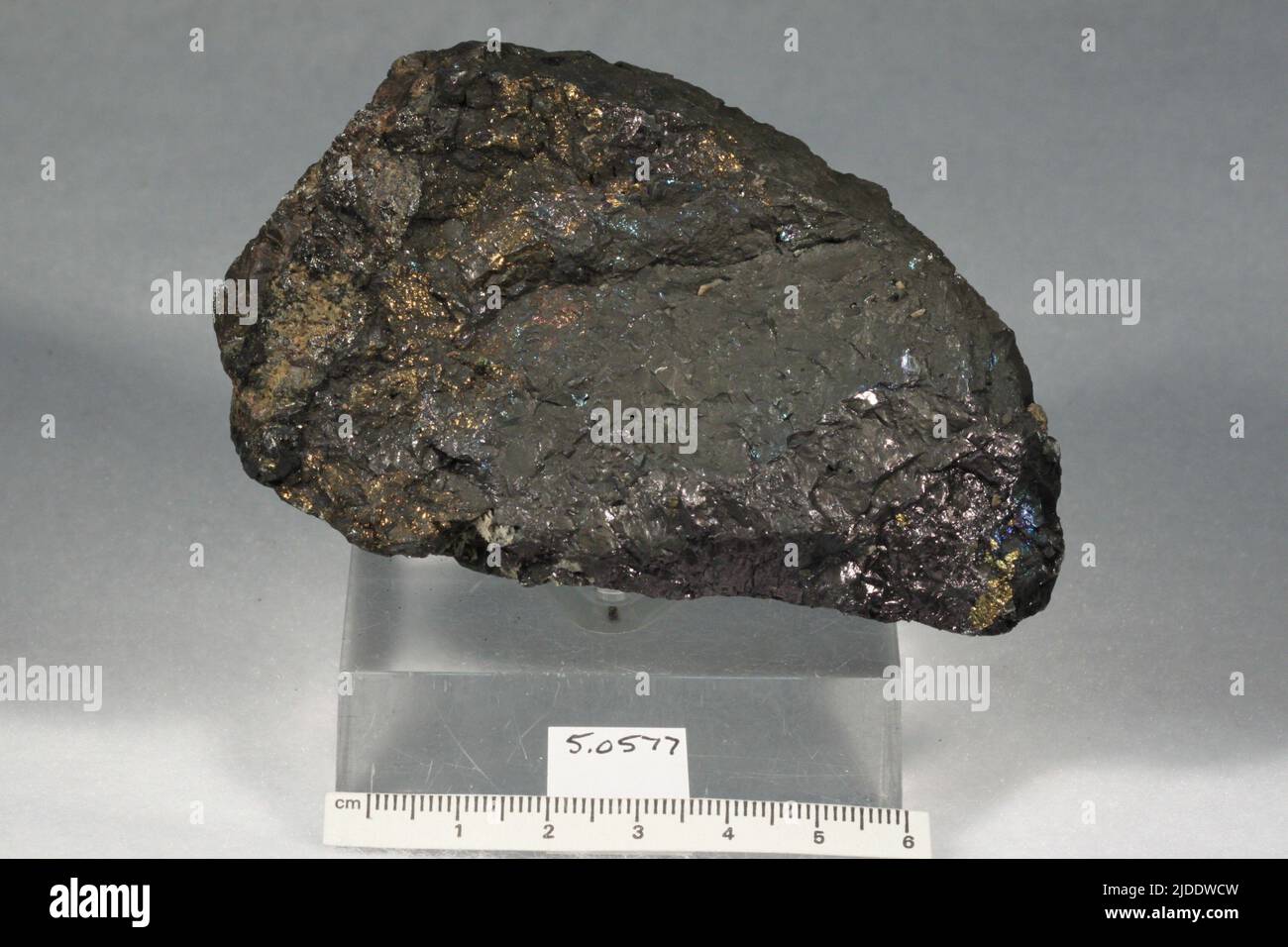 Bornite. minerals. North America; USA; Connecticut; Hartford County ...